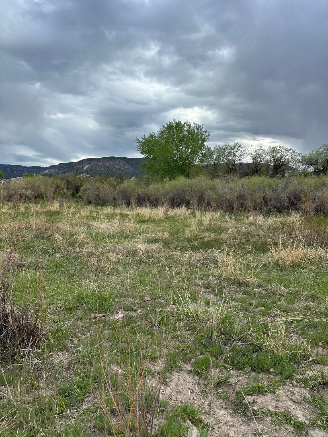 Tbd IN THE VICINITY OF BARRANCO, Abiquiu, NM 87510 | MLS: 202101213 ...