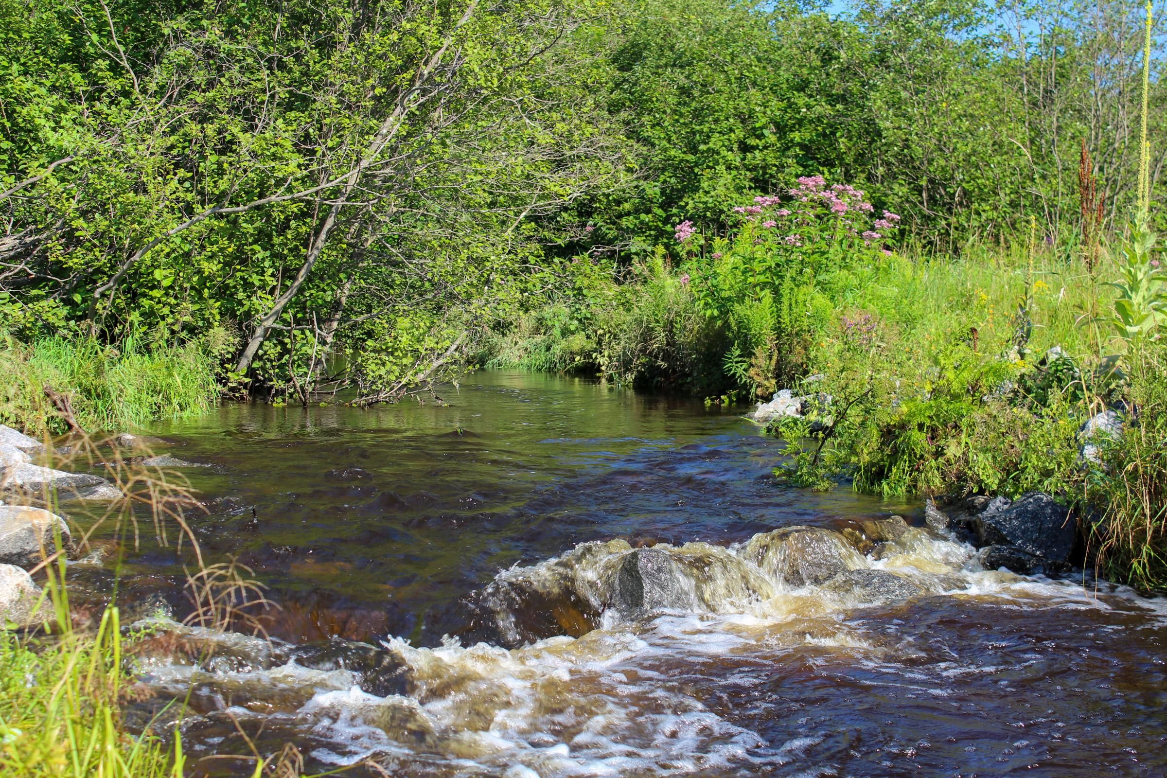 +/-9.05 acres State Hwy 64, Medford, WI 54451 | MLS: 22403772 | LandWatch