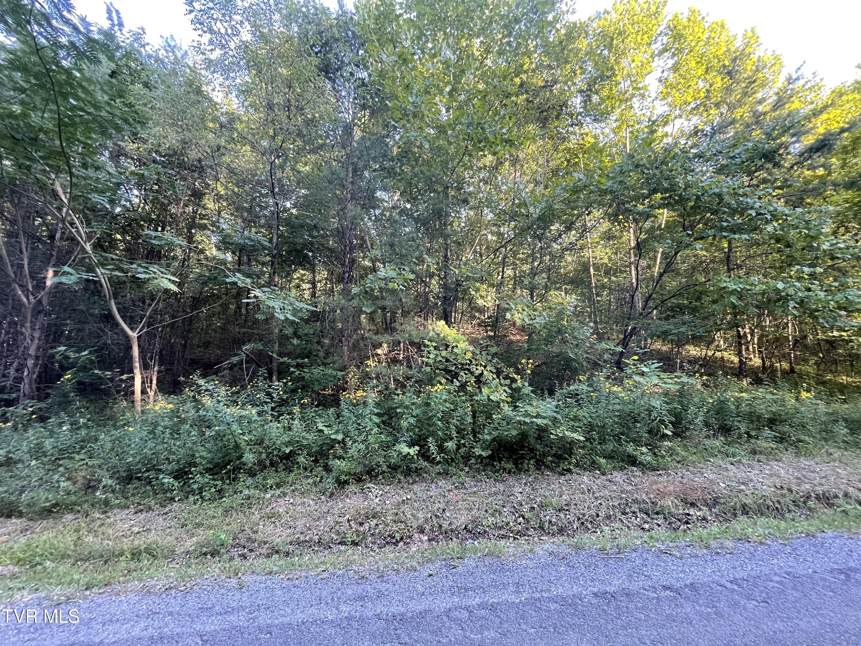 0 Speedwell Road, Bulls Gap, TN 37711 | MLS: 9969967 | LandWatch