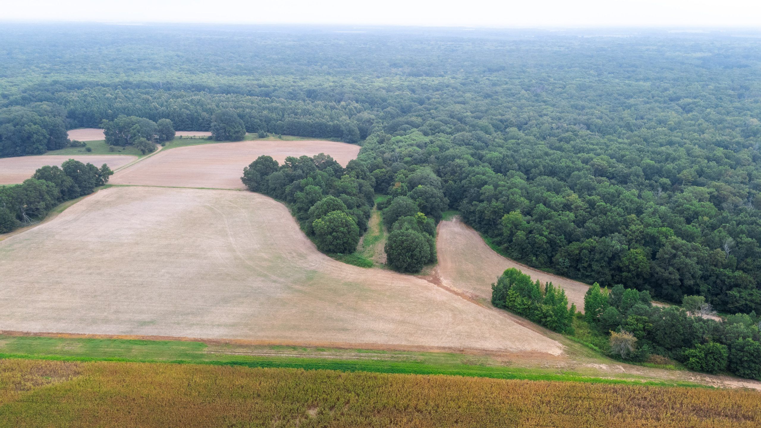 45 acres in Gregory, AR, | LandWatch