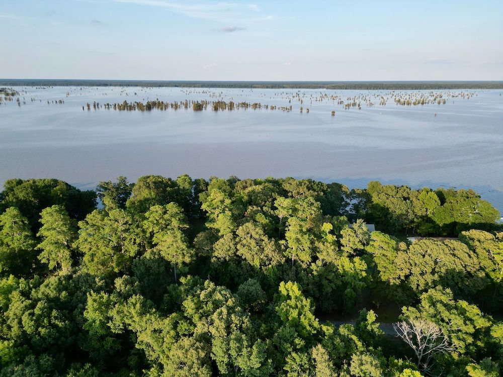 Lake Marion Drive, Lot#WP001, Elloree, SC 29047 | LandWatch