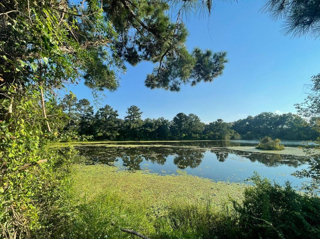 220 Dillon Road, Thomasville, GA 31757 | MLS: A924529A | LandWatch