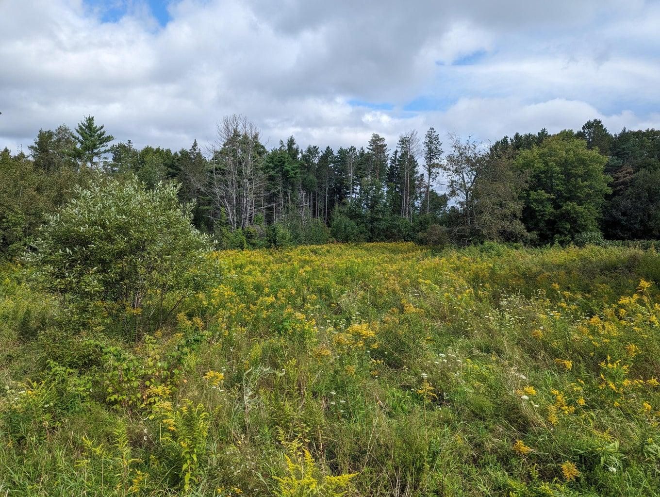 Western Ave, Hampden, ME 04444 | MLS: 1600907 | LandWatch