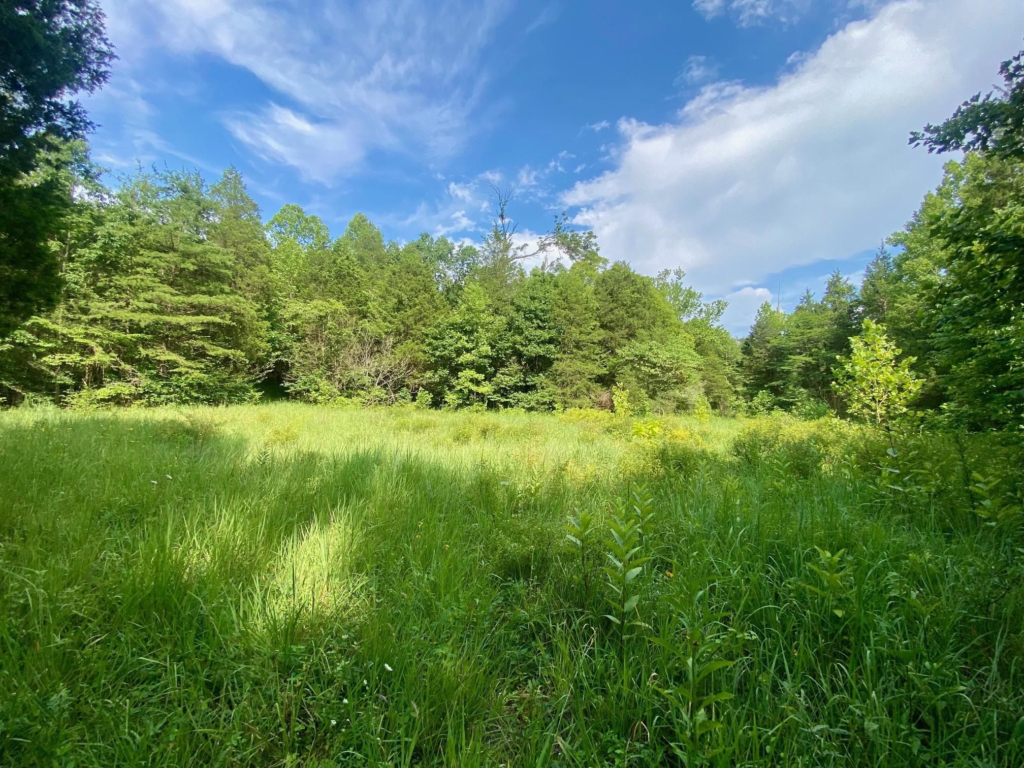 Hamilton Rd, Lynx, OH 45650 | MLS: 1815359 | LandWatch
