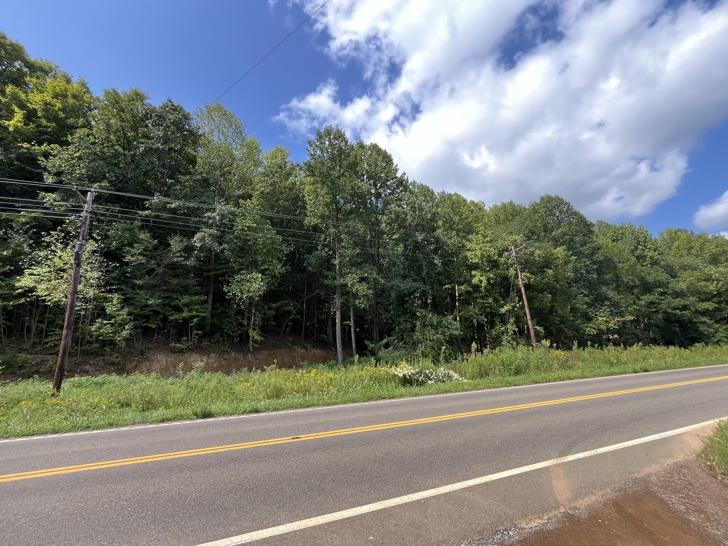 2720 Lot A E Hwy 25 70, Del Rio, TN 37727 | MLS: 702772 | LandWatch
