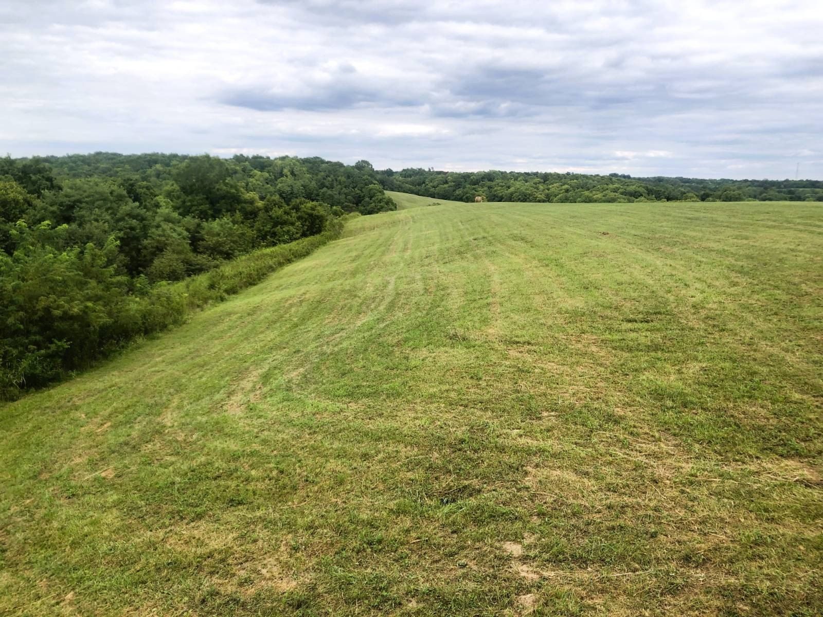 271 Boswell Lane, Mackville, KY 40040 | MLS: 11334256 | LandWatch