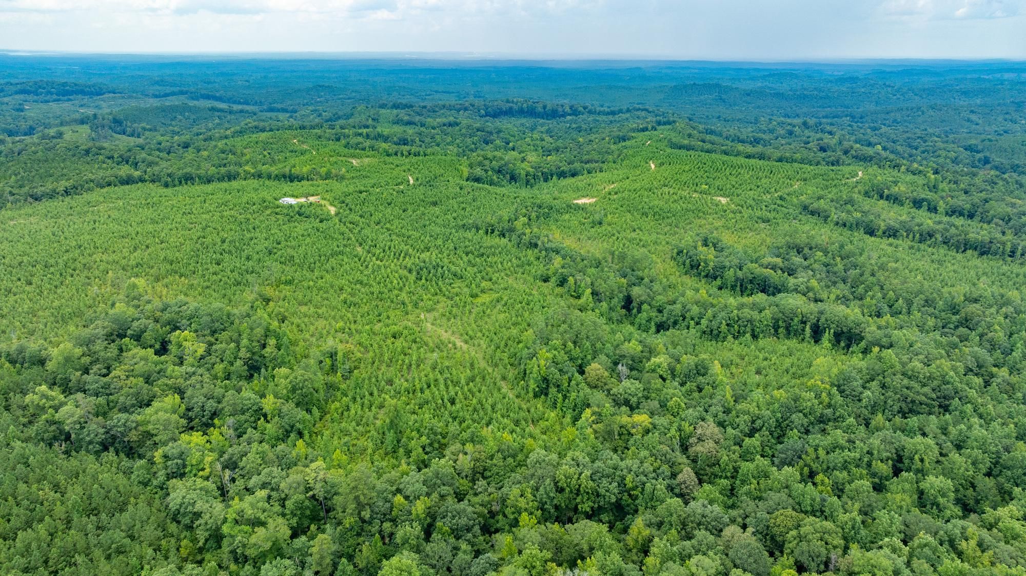 California Woods Road, Lumpkin, GA 31821 | LandWatch