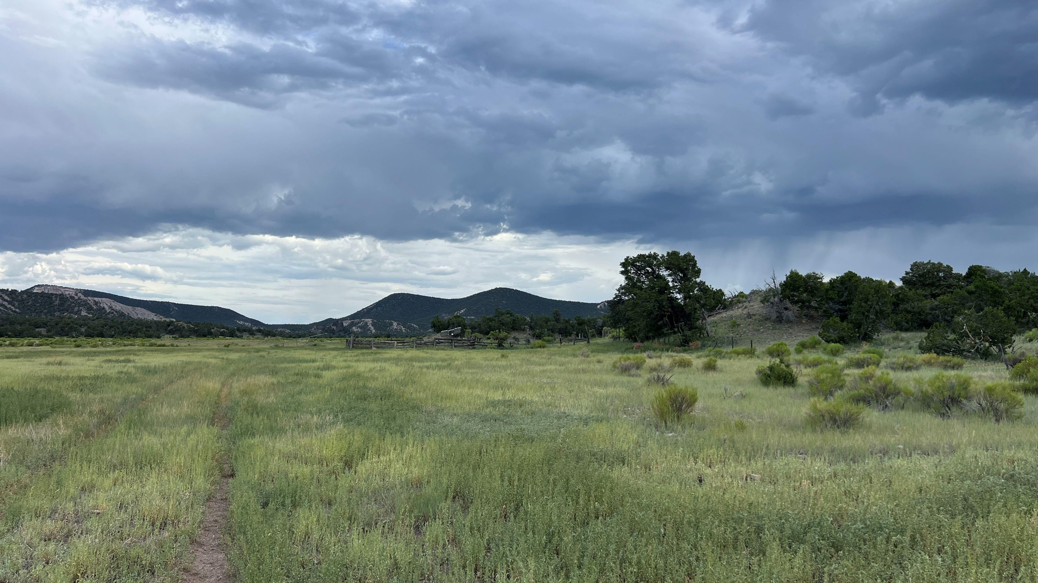 New Mexico 603, Quemado, NM 87829 | LandWatch