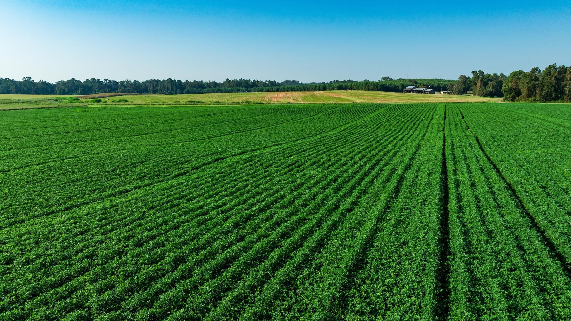 806 N Quitman Highway, Greenville, FL 32331 | LandWatch