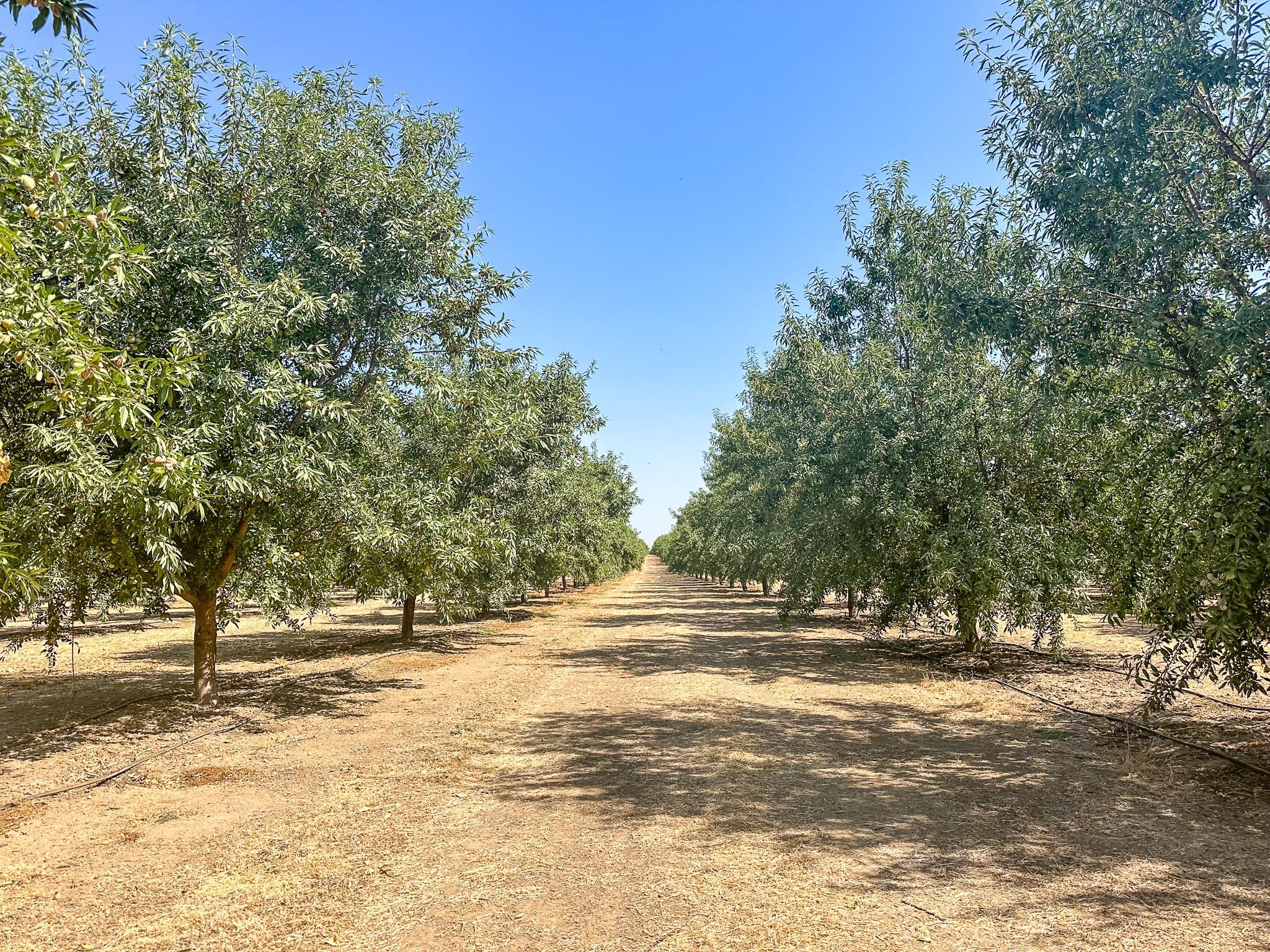 889.19 acres in McFarland, CA, 93250 | LandWatch