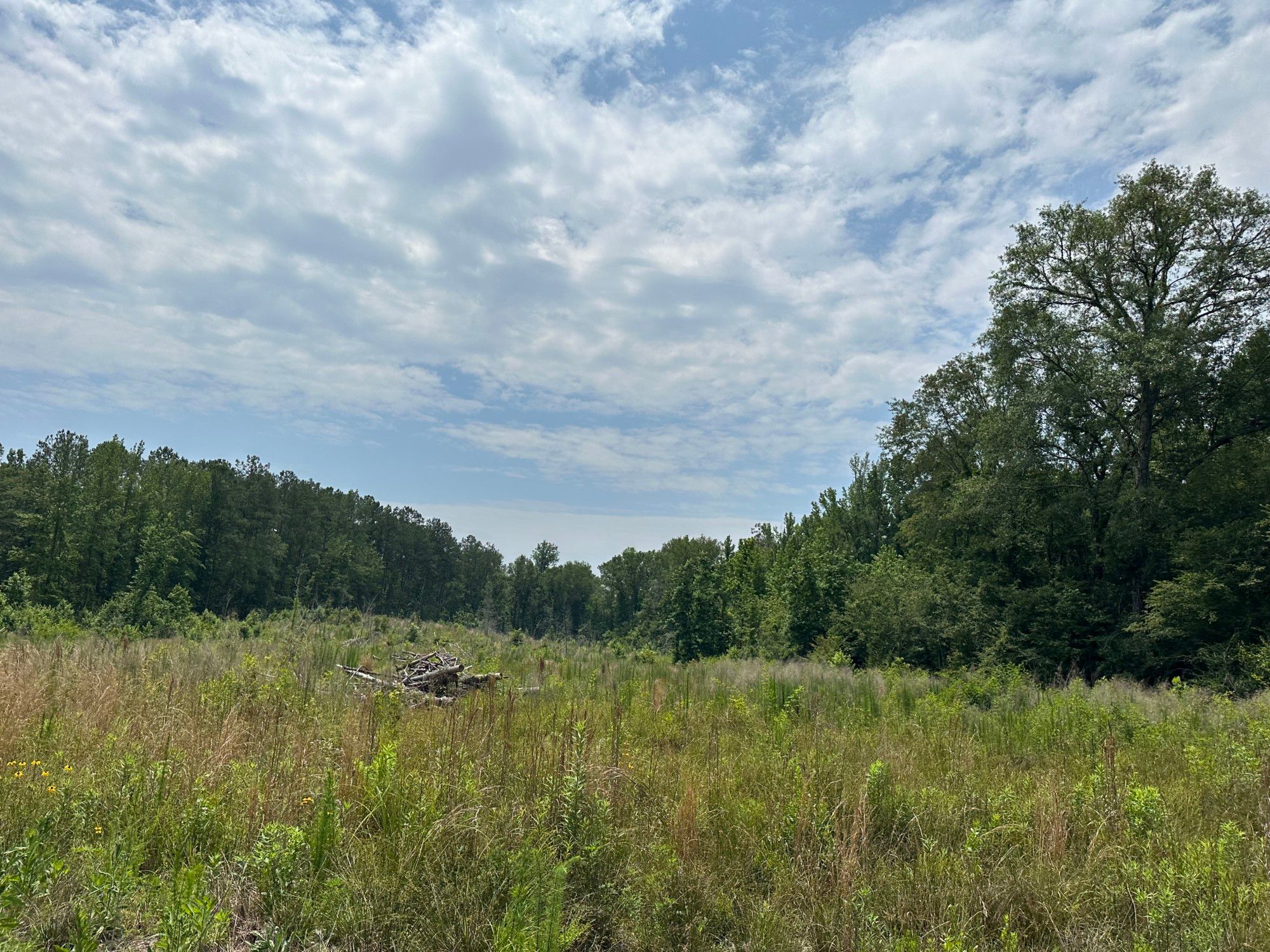 Dallas County Road 85, Minter, AL 36761 | LandWatch