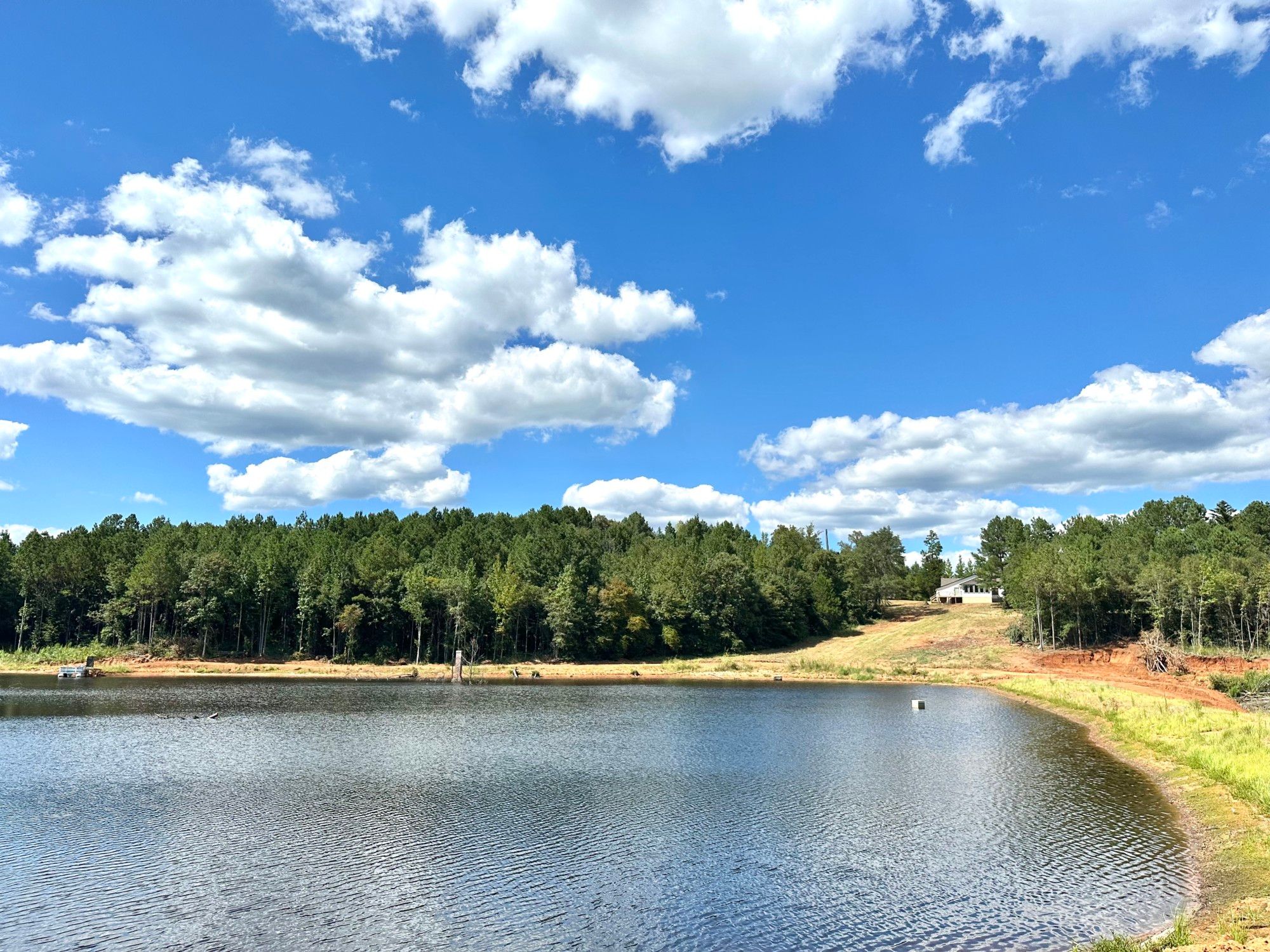 County Road 10, Sprott, AL 36756 | LandWatch
