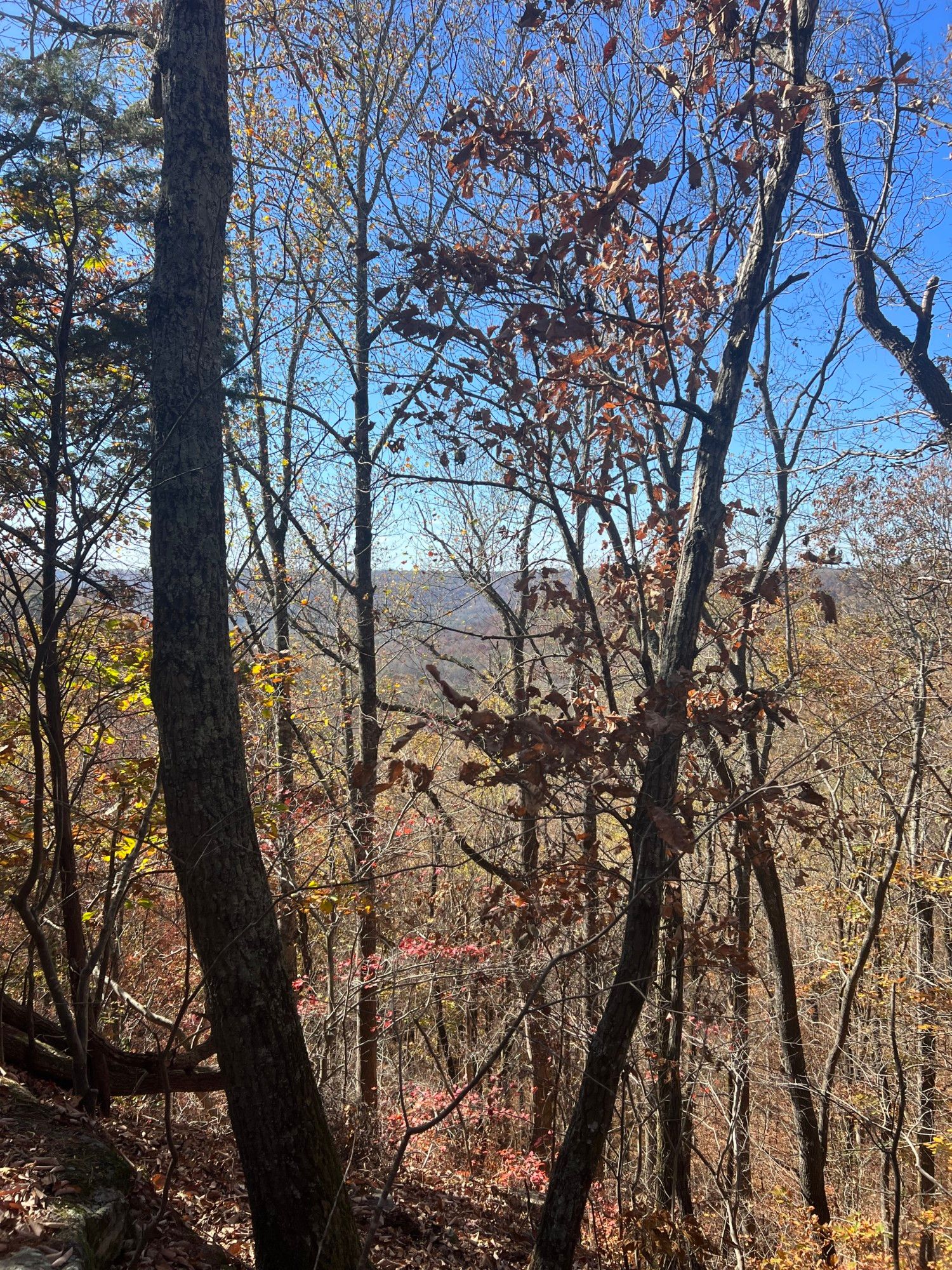 Grant, Grant, AL 35747 | LandWatch