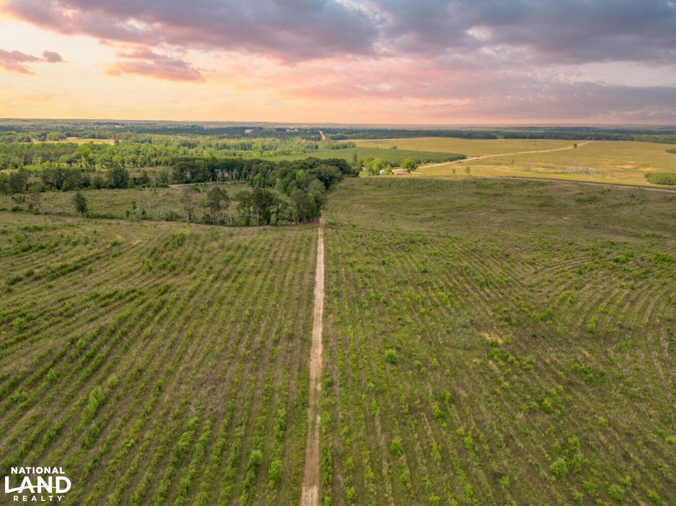 0 County Road 259, Edwin, AL 36317 | LandWatch