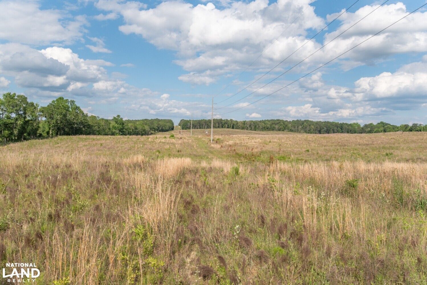 0 County Road 131, Clio, AL 36317 | LandWatch