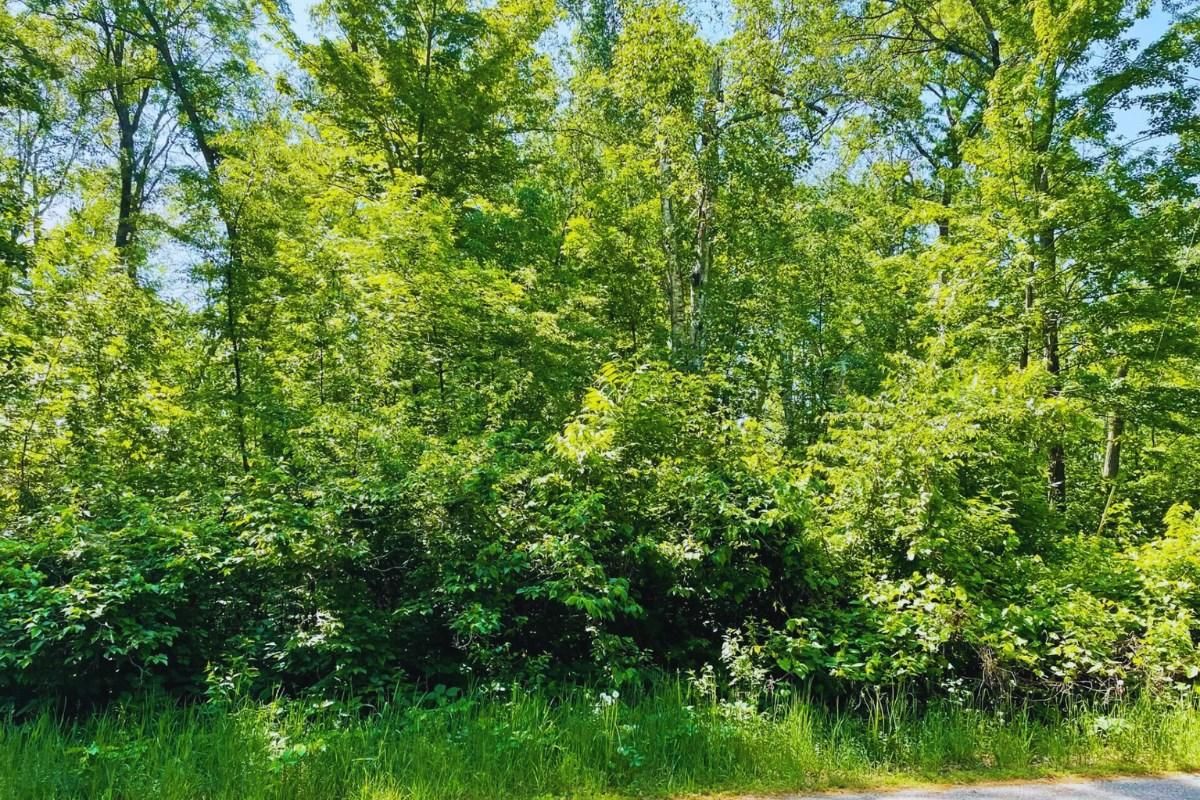 Partridge Pass, Garrison, MN 56450 | MLS: Mille Lacs 0.19 Acres, 09-969 ...