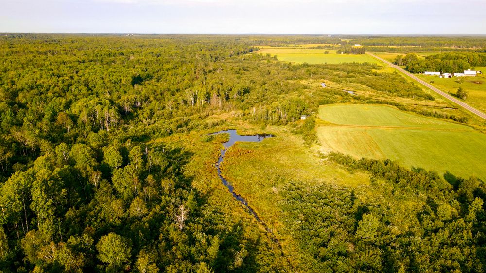 West 12873 County Road D, Jump River, WI 54433 | MLS: Taylor 80 | LandWatch