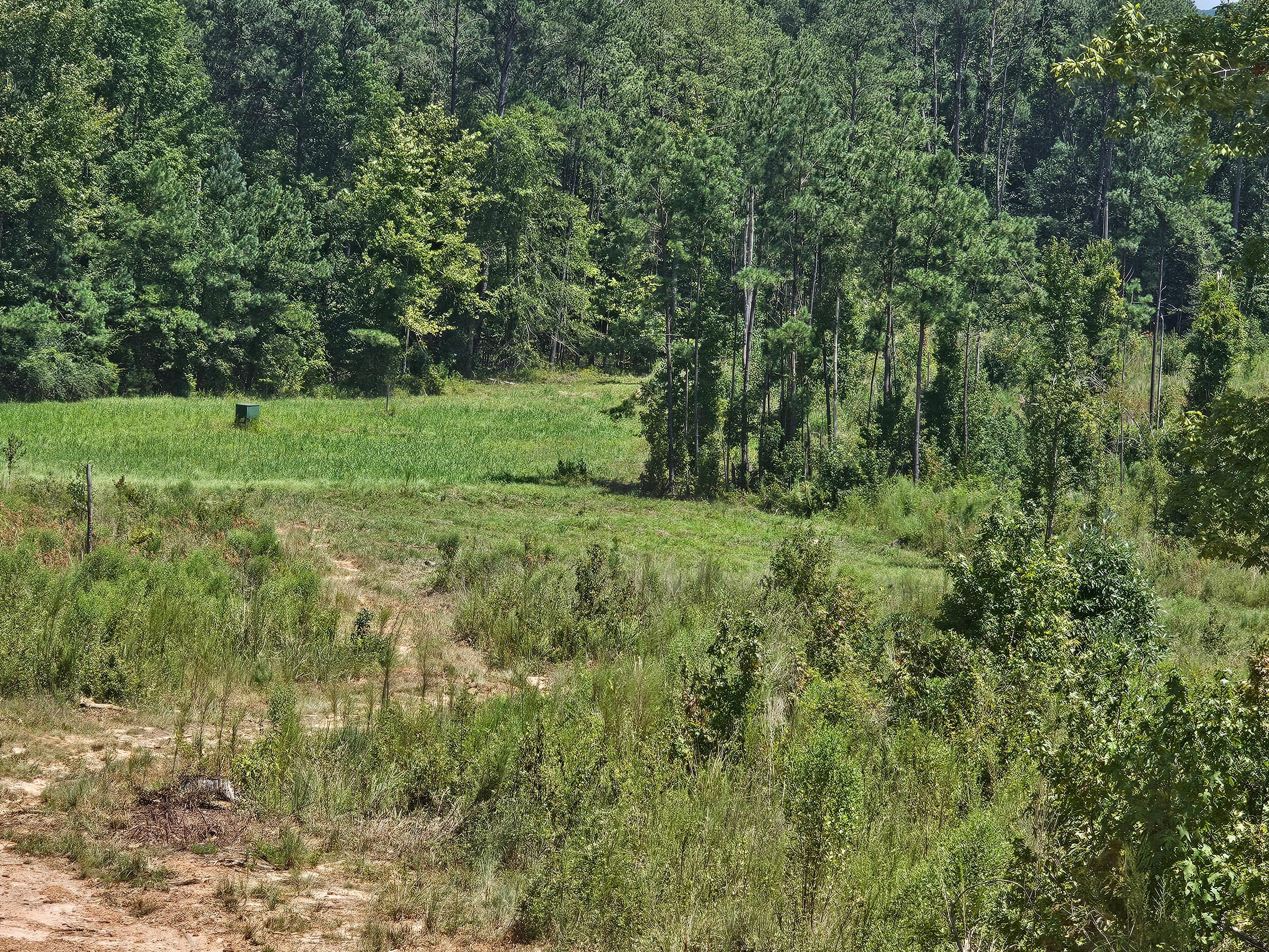 Shady Grove Rd, Grady, AL 36036 | LandWatch