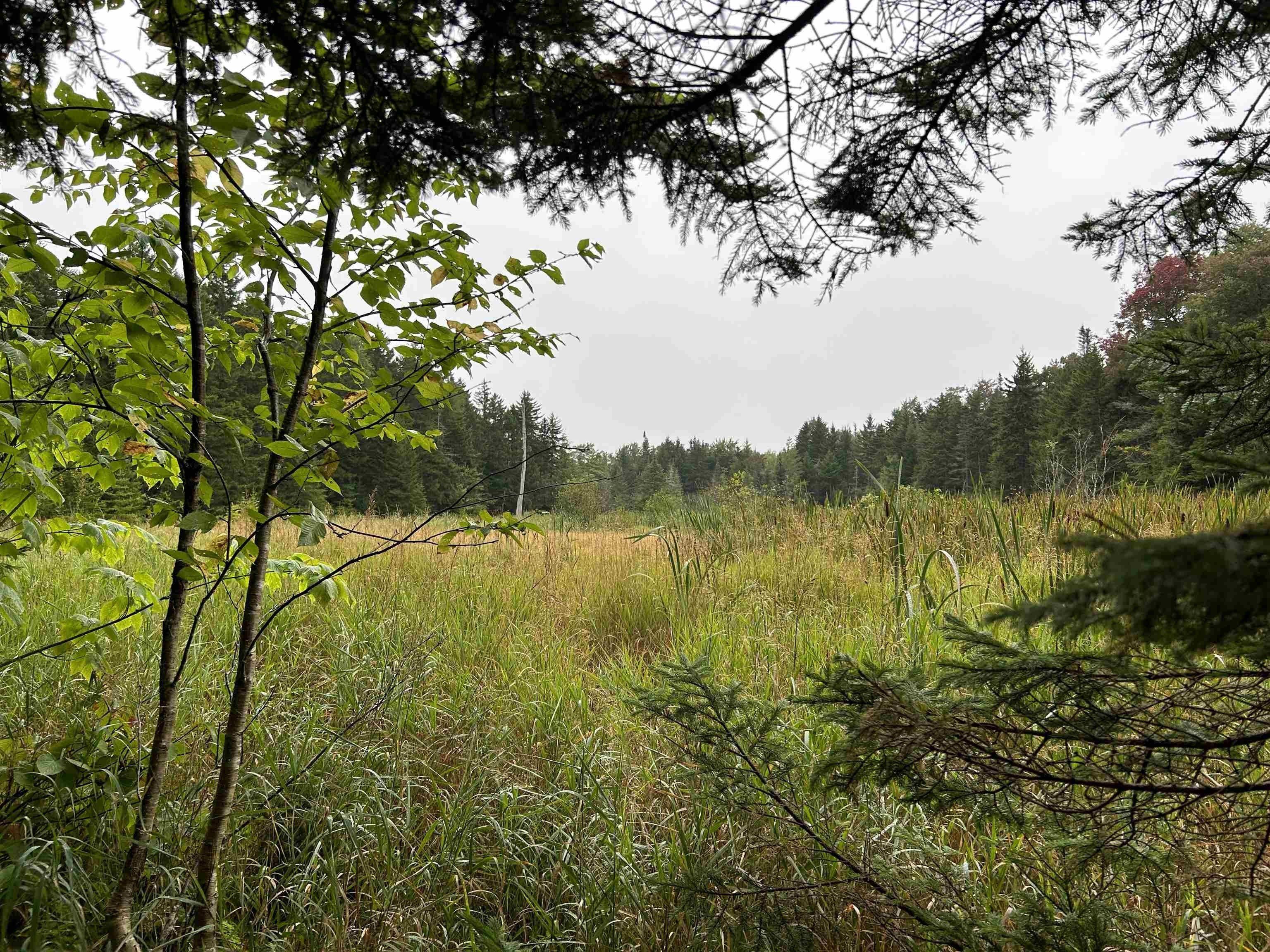 1625 VT Route 9, Searsburg, VT 05363 | MLS: 5011175 | LandWatch