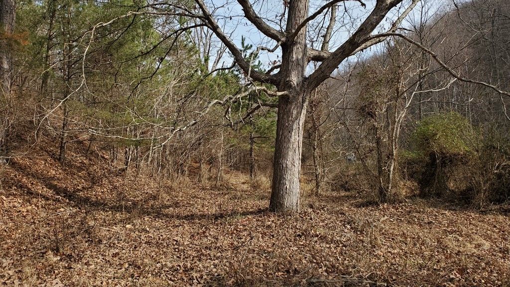0 Shepherds Fork, West Portsmouth, OH 45663 | MLS: 150538 | LandWatch