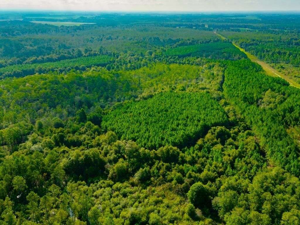 Hwy 32 W, Oakfield, GA 31772 | MLS: Oakfield Hunting & Timber | LandWatch