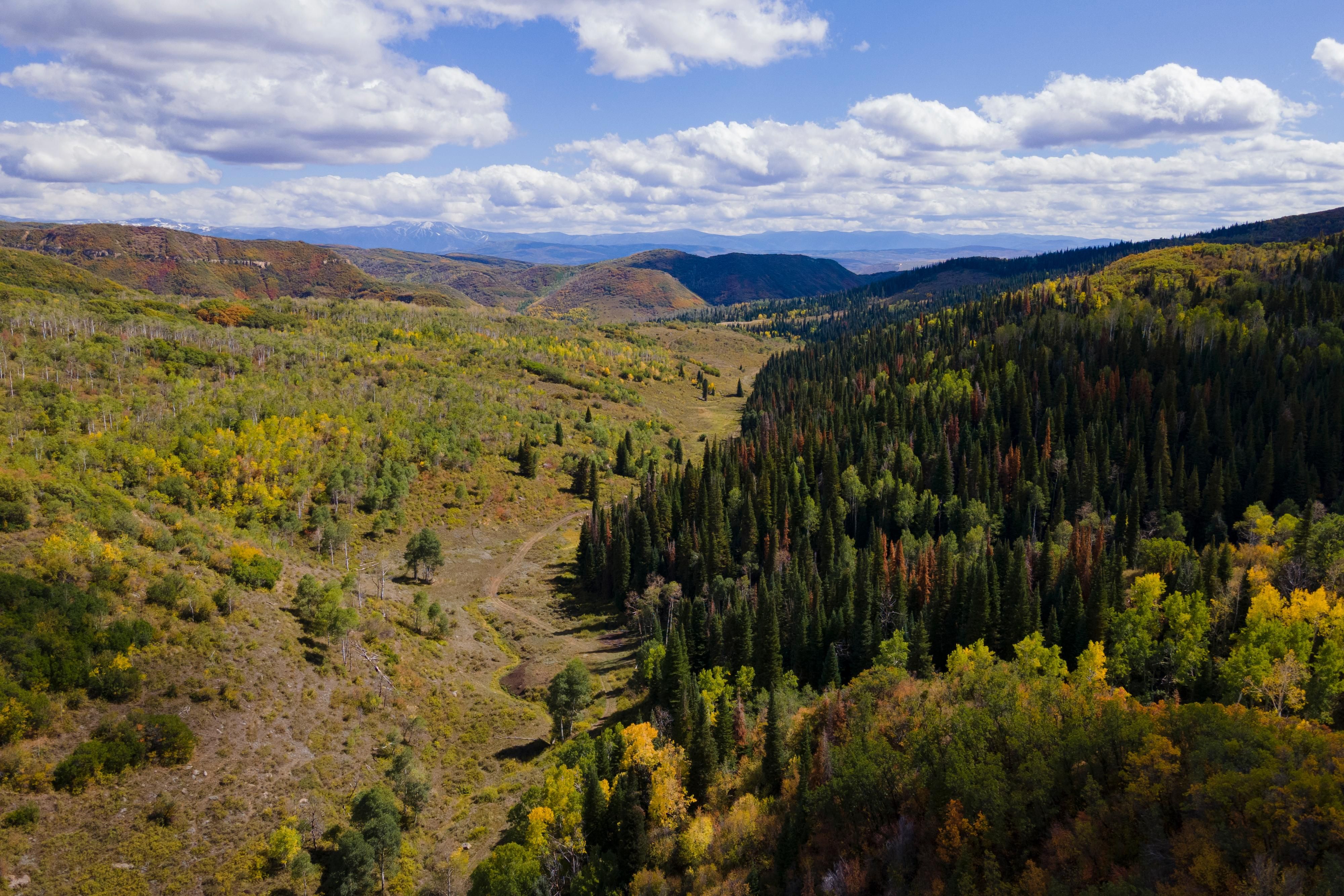 County Road 50, Steamboat Springs, CO 80477 | LandWatch