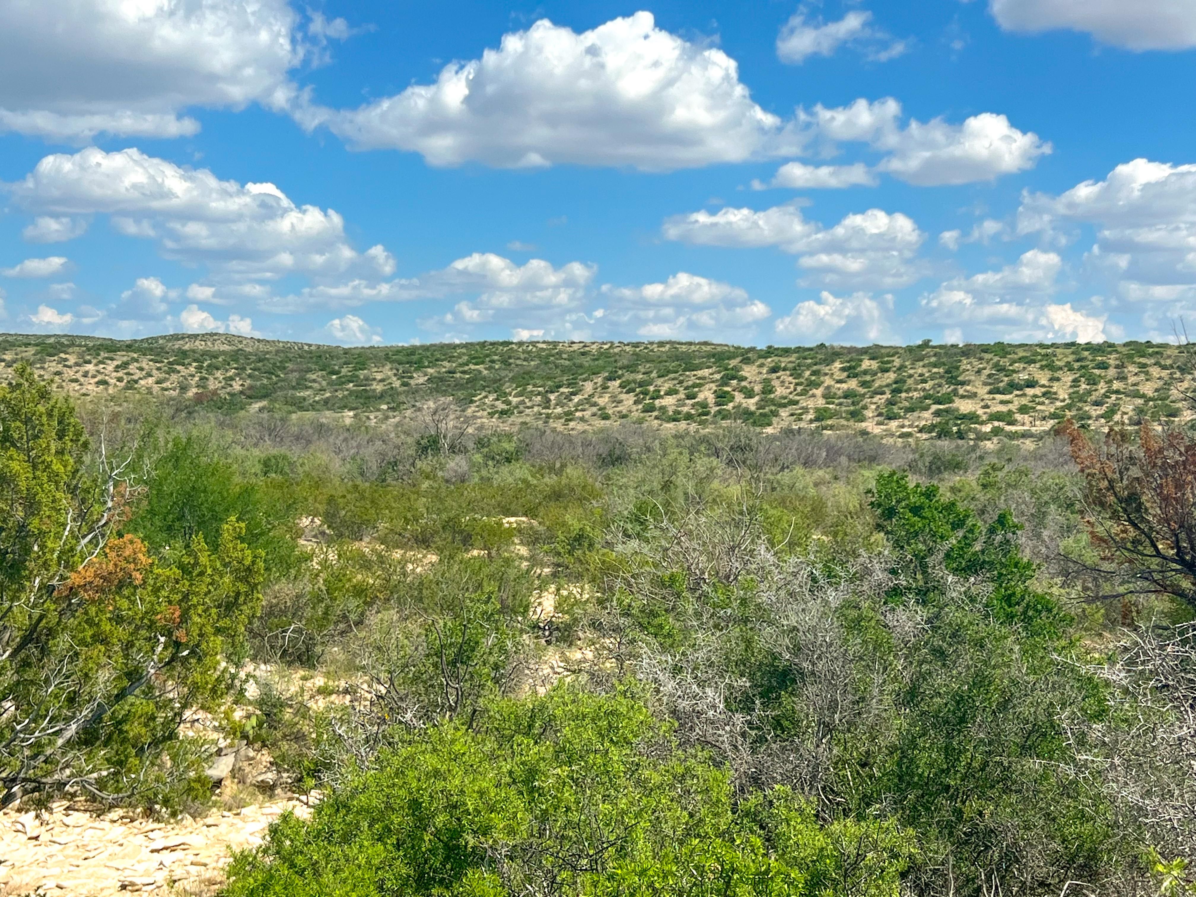 166.14 acres in Langtry, TX, 78871 | LandWatch