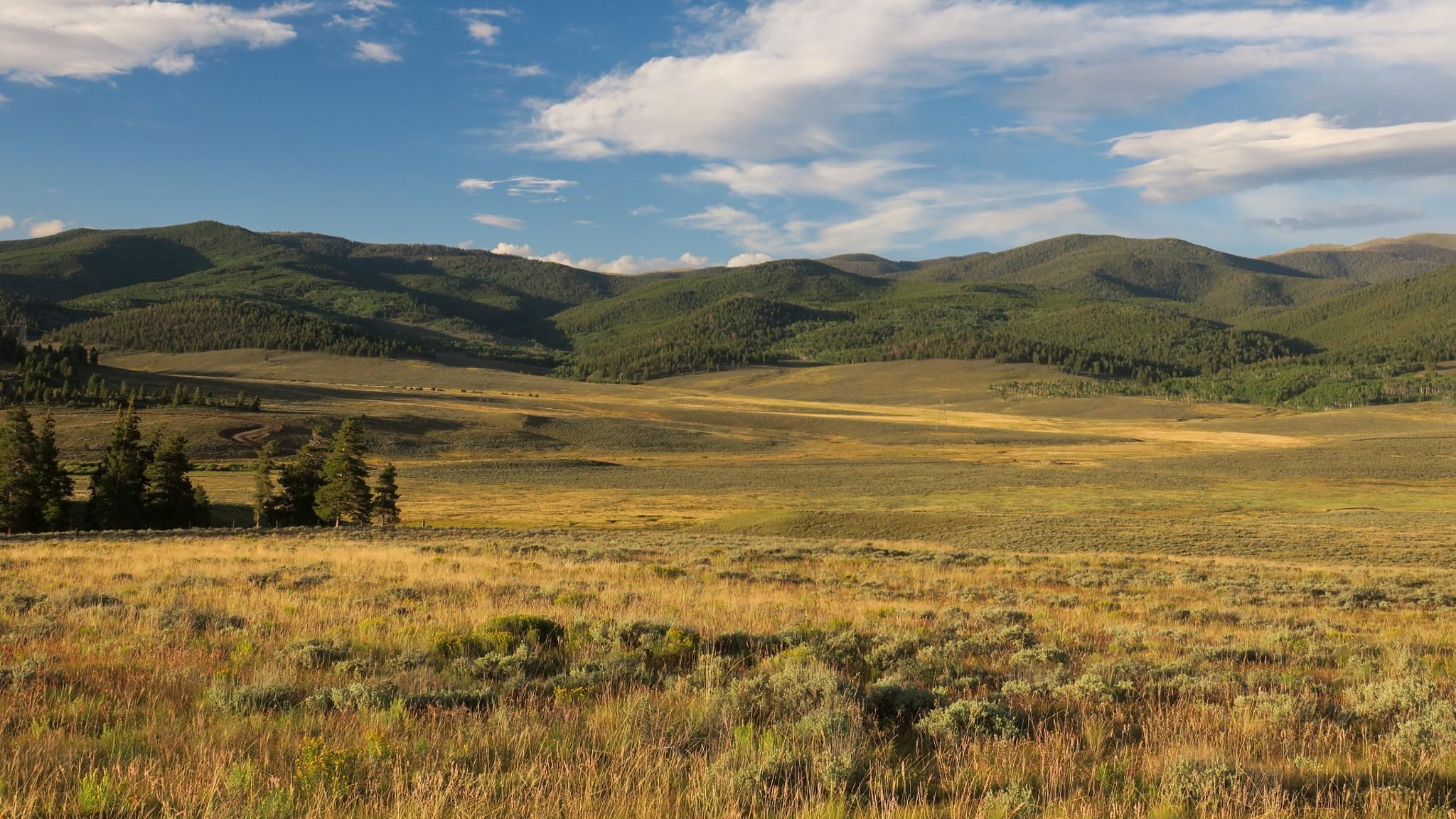 1,768 acres in Gunnison, CO, 81230 | MLS: Quakey Mountain Ranch | LandWatch