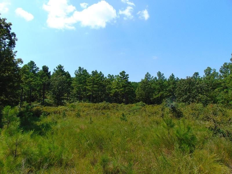 11.58 acres in Wister, OK, 74966 | LandWatch