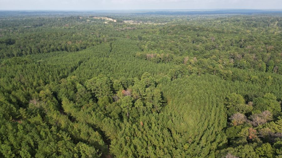 No Physical Address, Vacant Land, Lot#WP001, Saint Stephens, AL 36569 ...