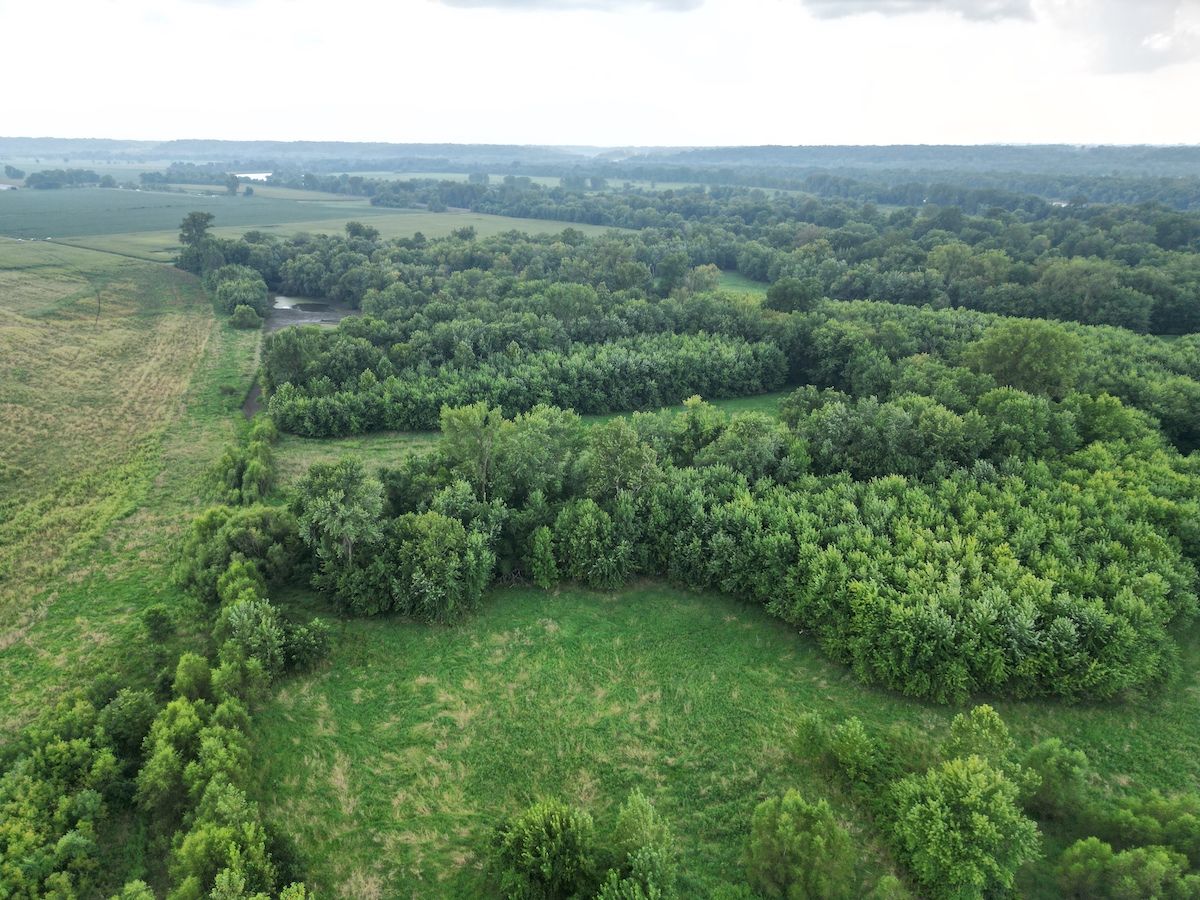 Pine Switch Rd, Lot #WP001, Bluffs, IL 62621 | LandWatch