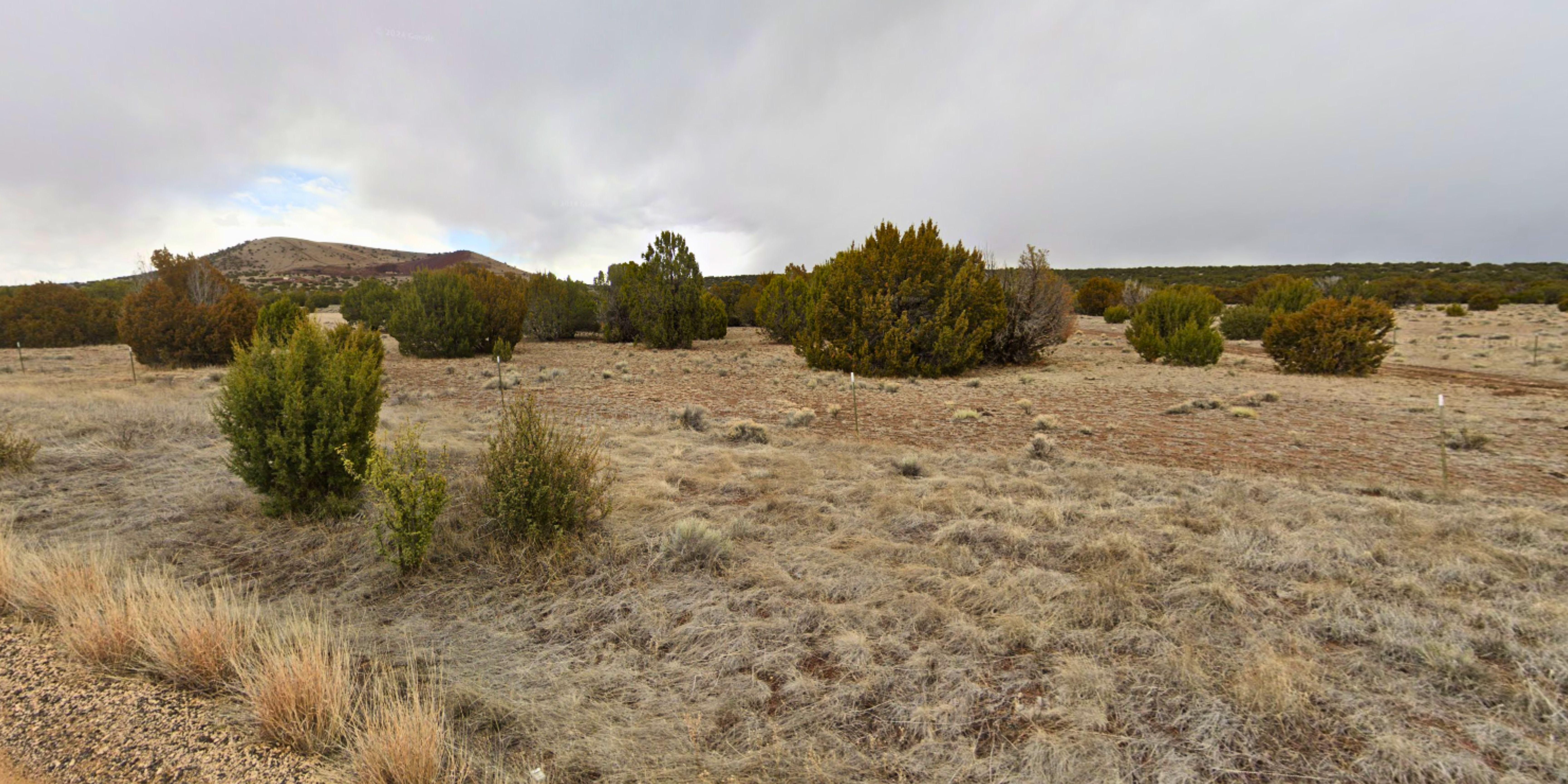 County Road 5101, Concho, AZ 85924 | MLS: 201-40-157b | LandWatch