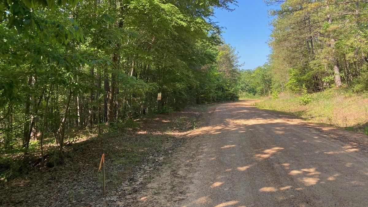 County Road 312, Walnut, MS 38674 | LandWatch