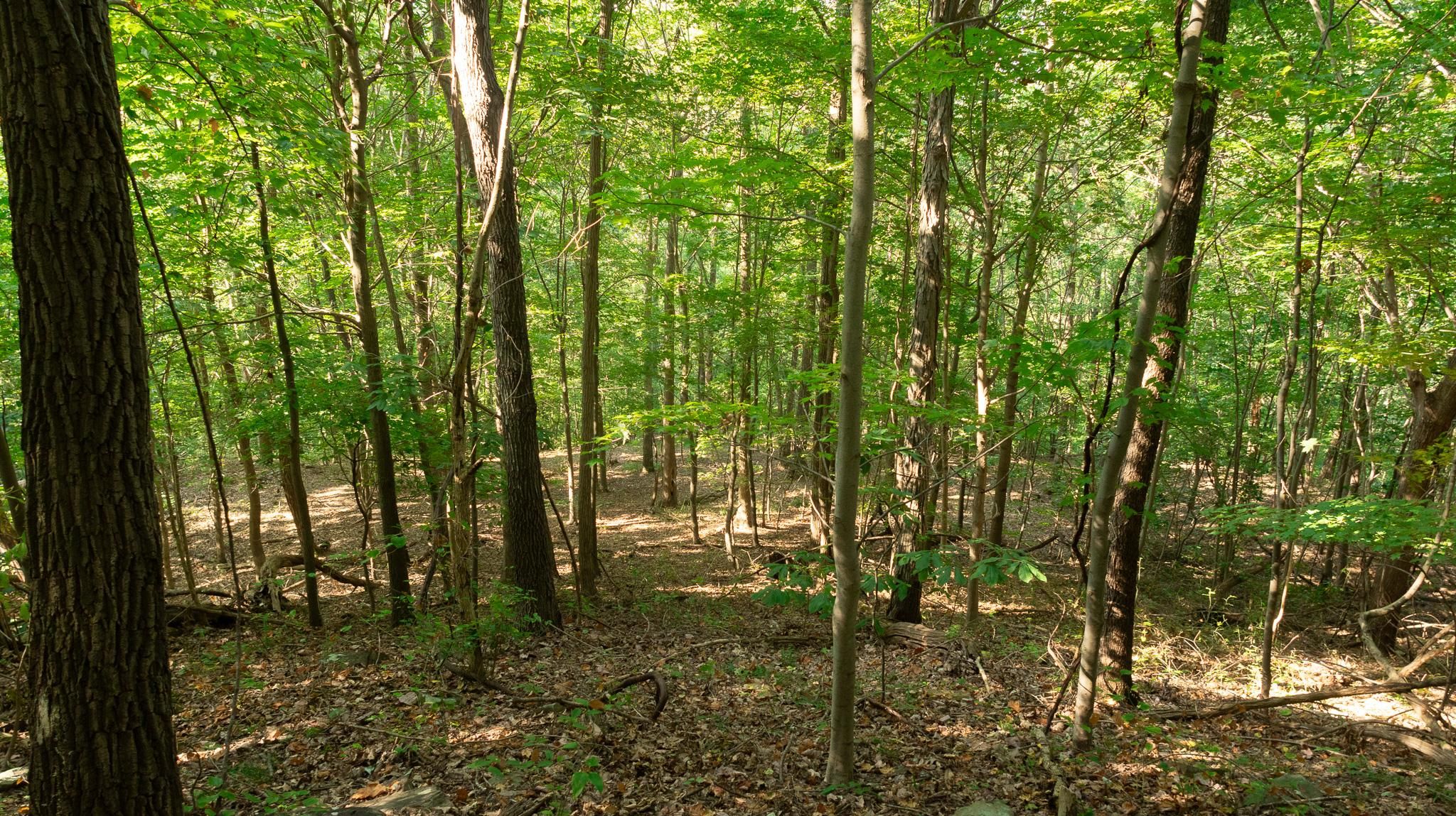 Tracy Run Road, Stout, OH 45684 | MLS: Adams County Ohio Land for Sale ...