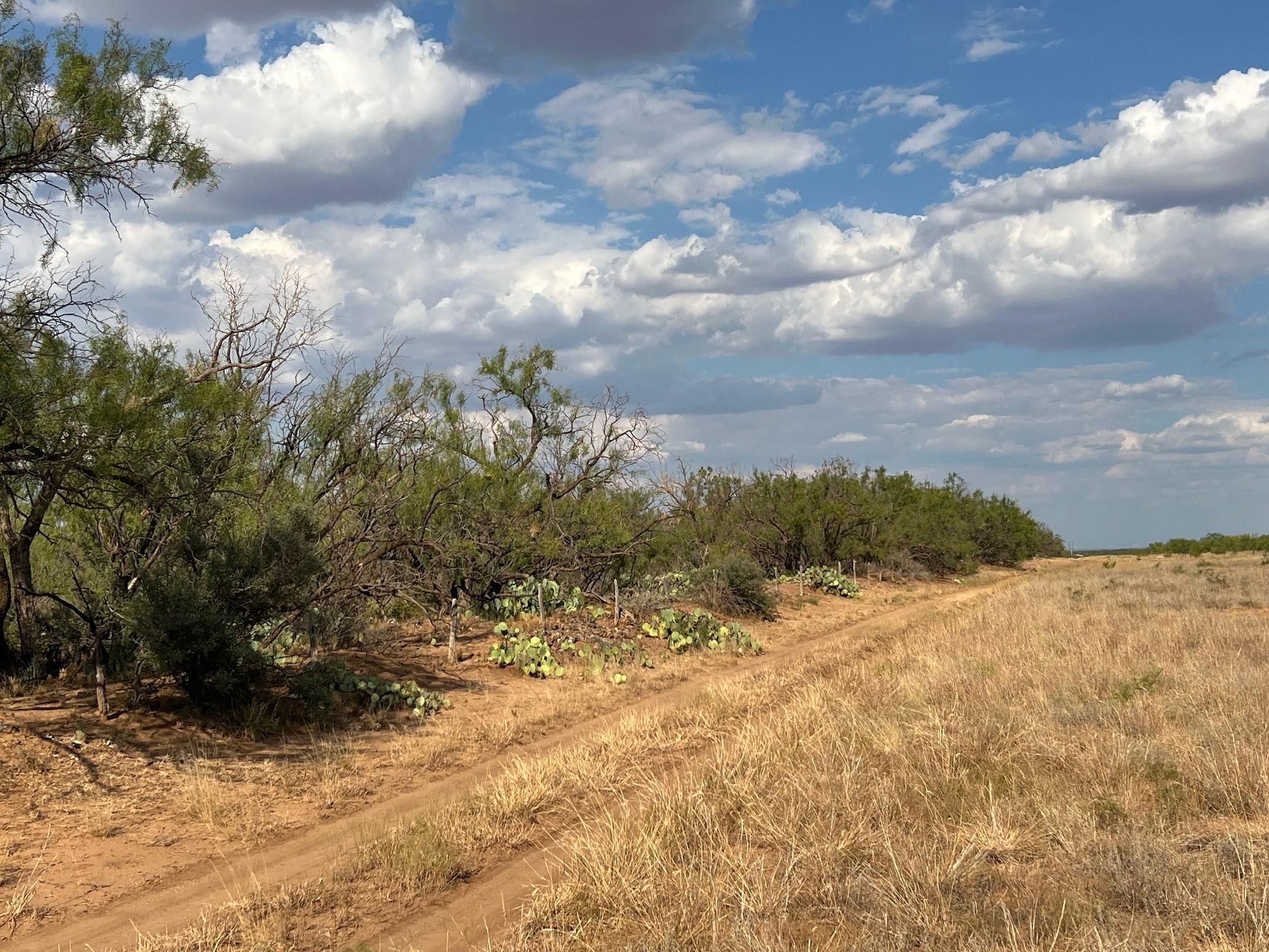 320 acres in Westbrook, TX, 79556 | LandWatch