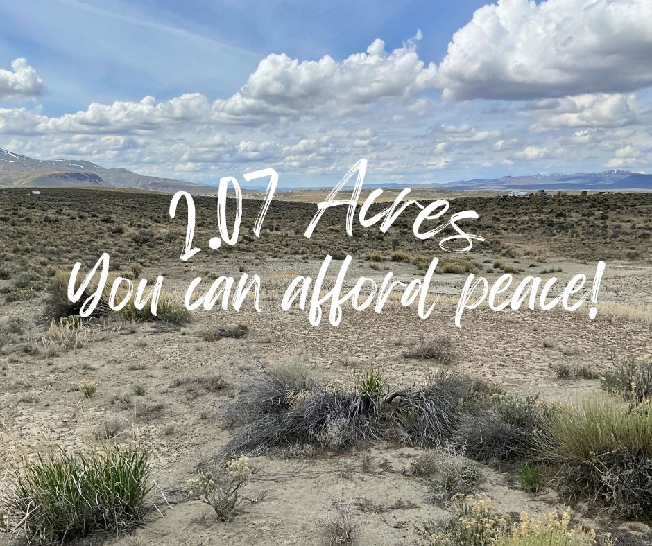 2.07 acres in Ryndon, NV, 89801 | LandWatch
