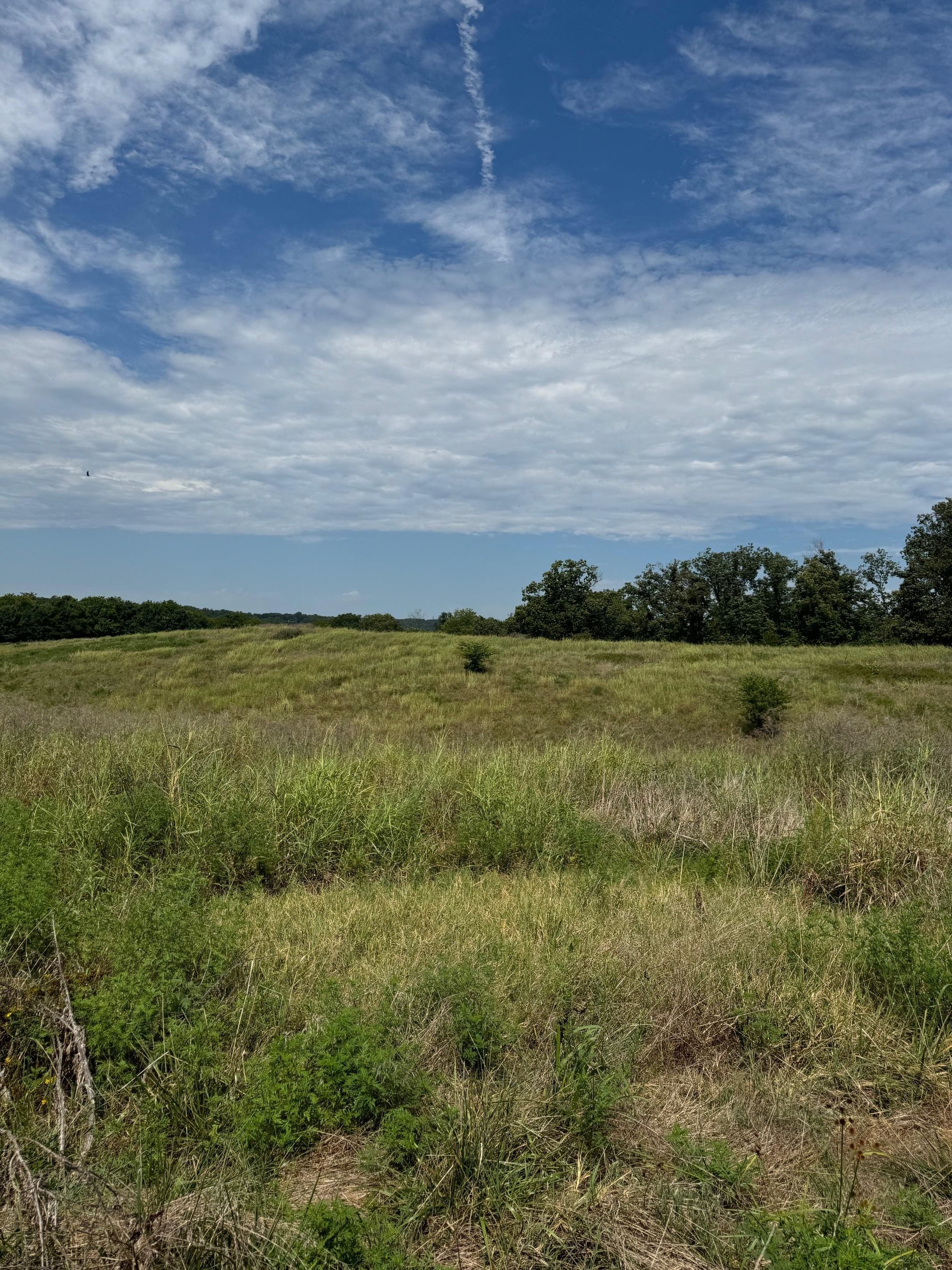 Route EE, Lanagan, MO 64847 | MLS: 60275562 | LandWatch