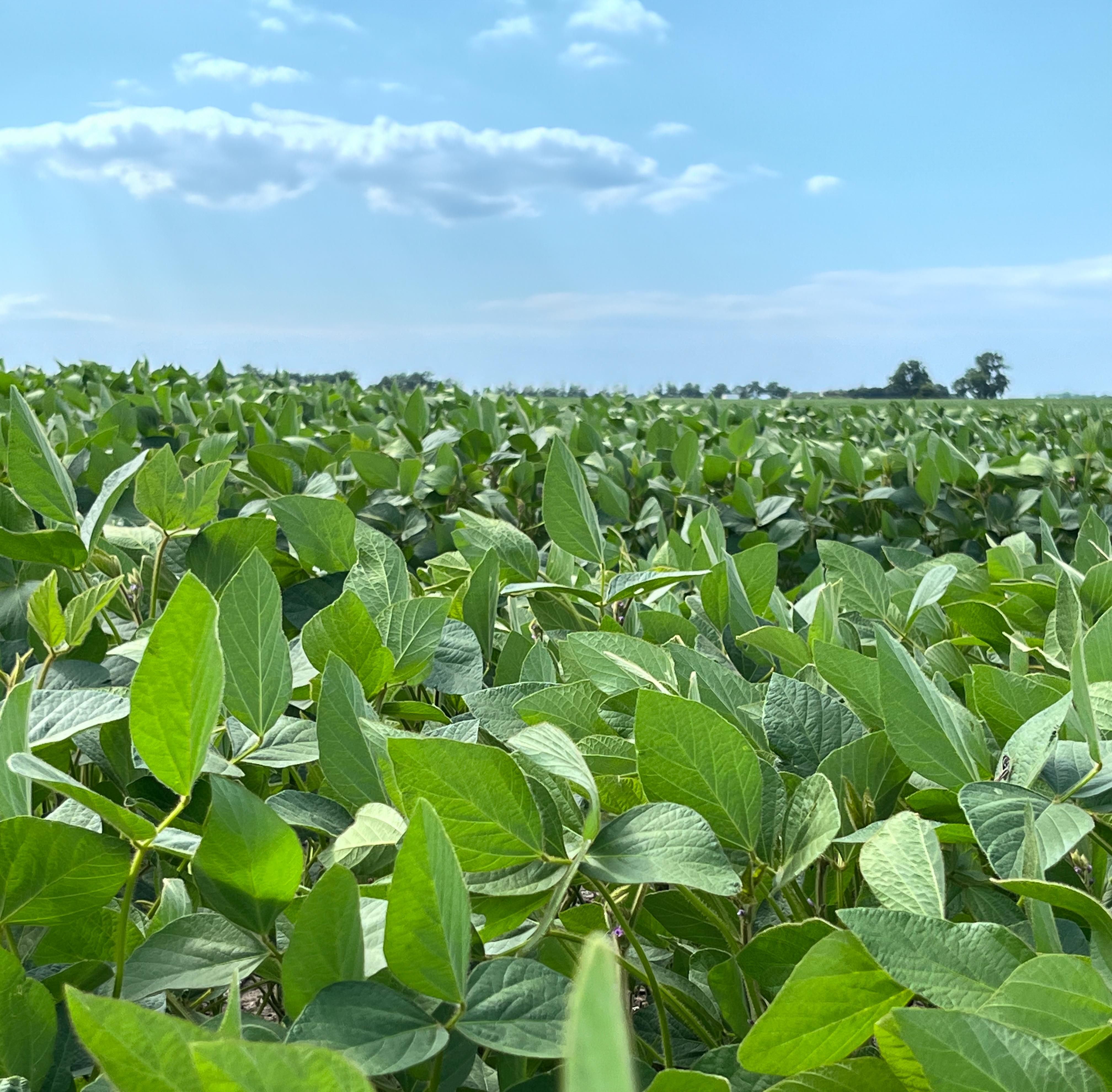 160 acres in Drake, ND, 58736 | LandWatch