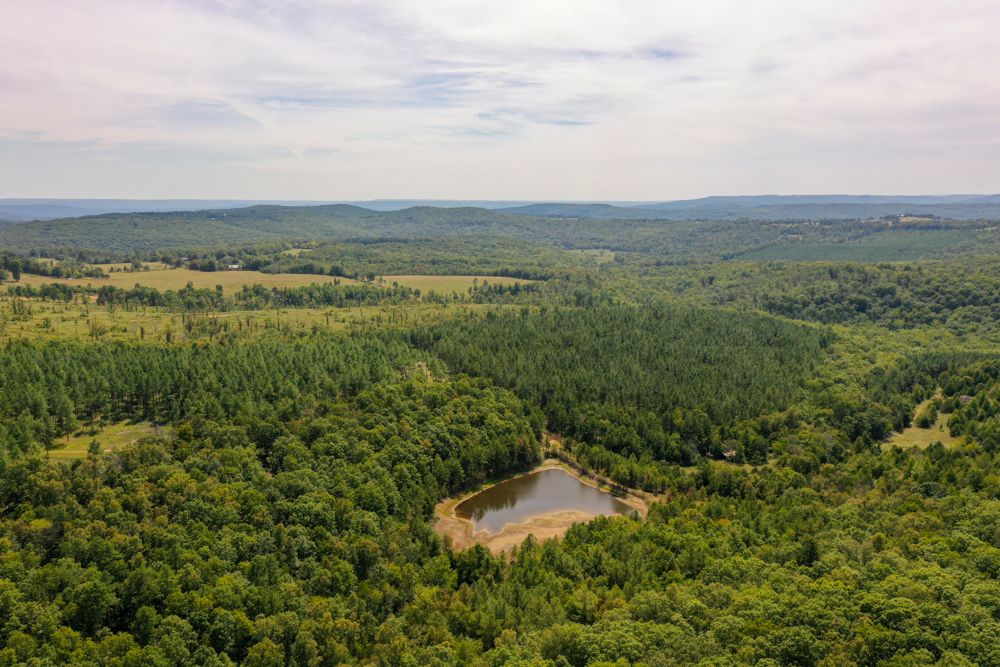 000 Dodd Mountain Road, Shirley, AR 72153 | MLS: Van Buren 292 | LandWatch