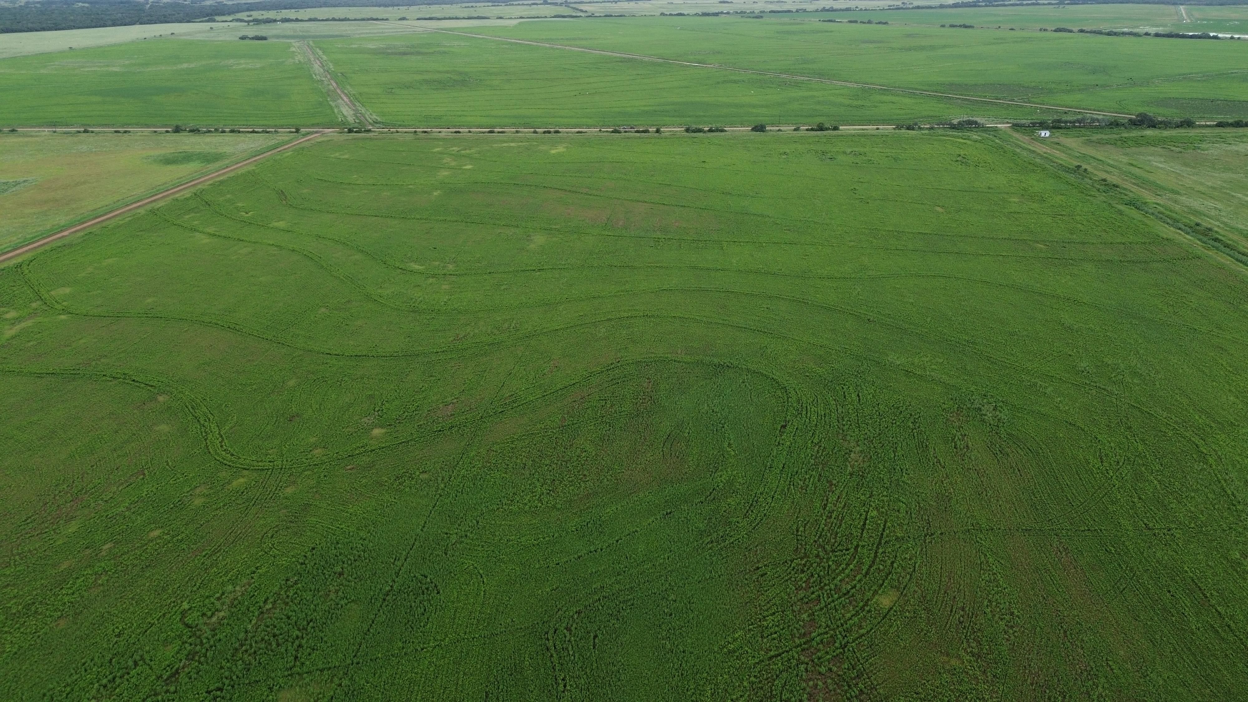 Co Rd 127, Edna, TX 77957 | MLS: 555368 | LandWatch