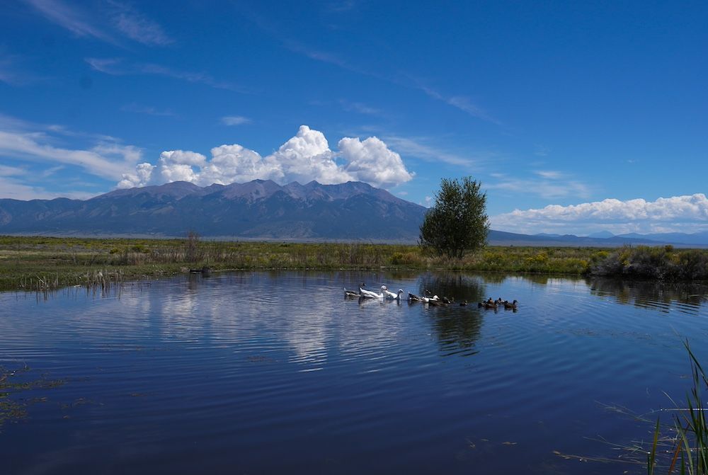 1150 Jennifer Dr, Mosca, CO 81146 | MLS: 817549 | LandWatch