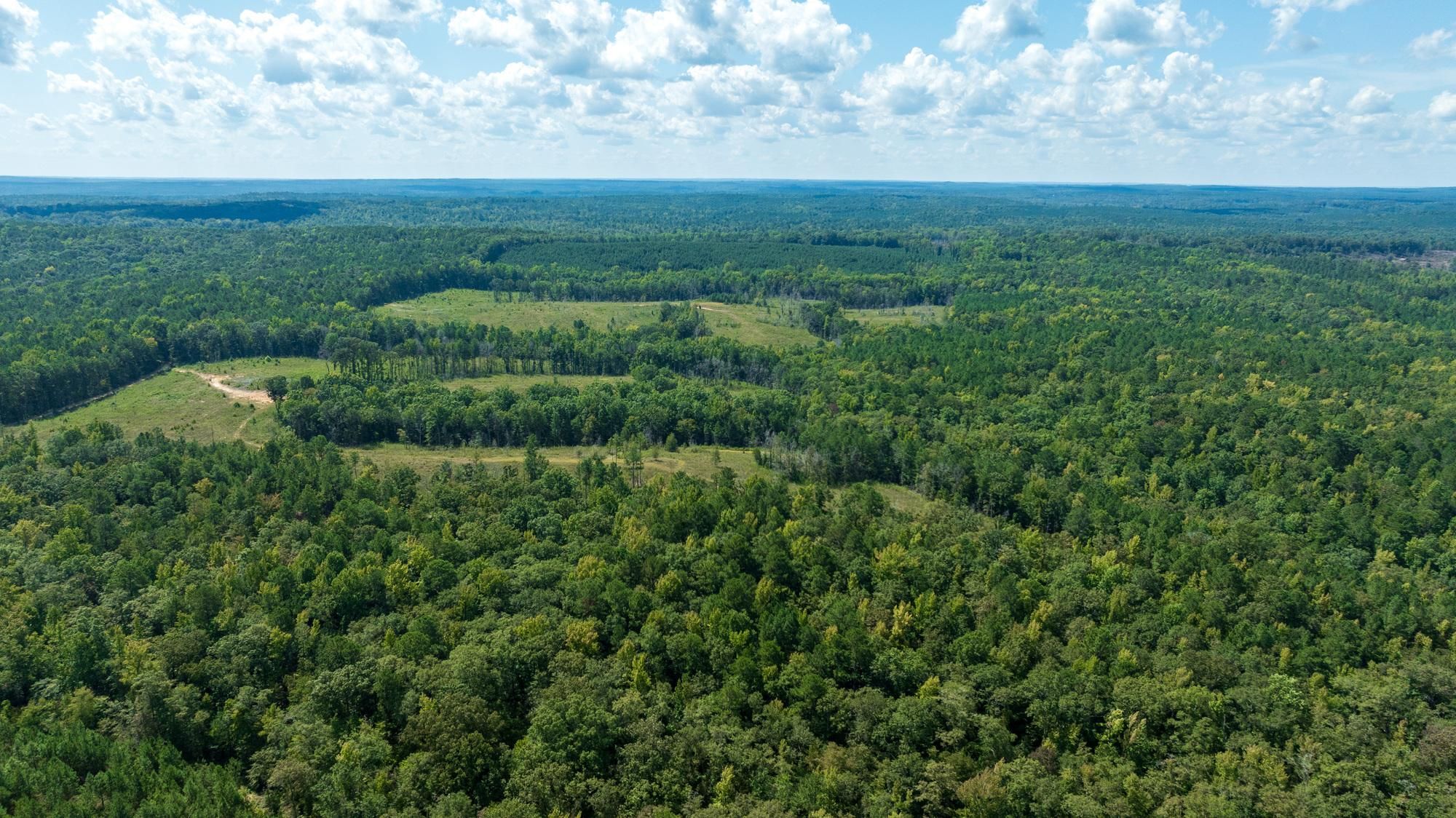 Kurt Williams Road, Talbotton, GA 31827 | LandWatch