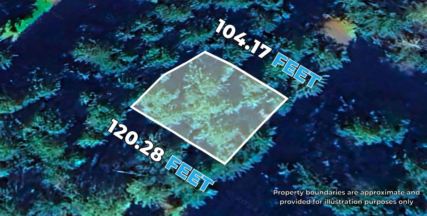 11922 113th Ave, Anderson Island, WA 98303 | LandWatch