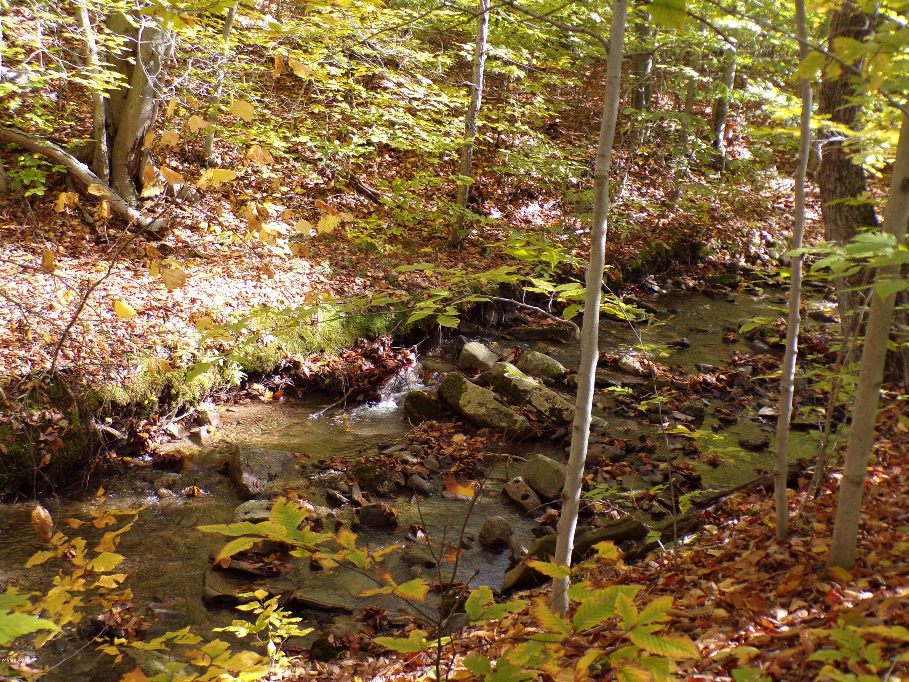 Flat Rock Road, Forest City, PA 18421 | MLS: PW-242828 | LandWatch