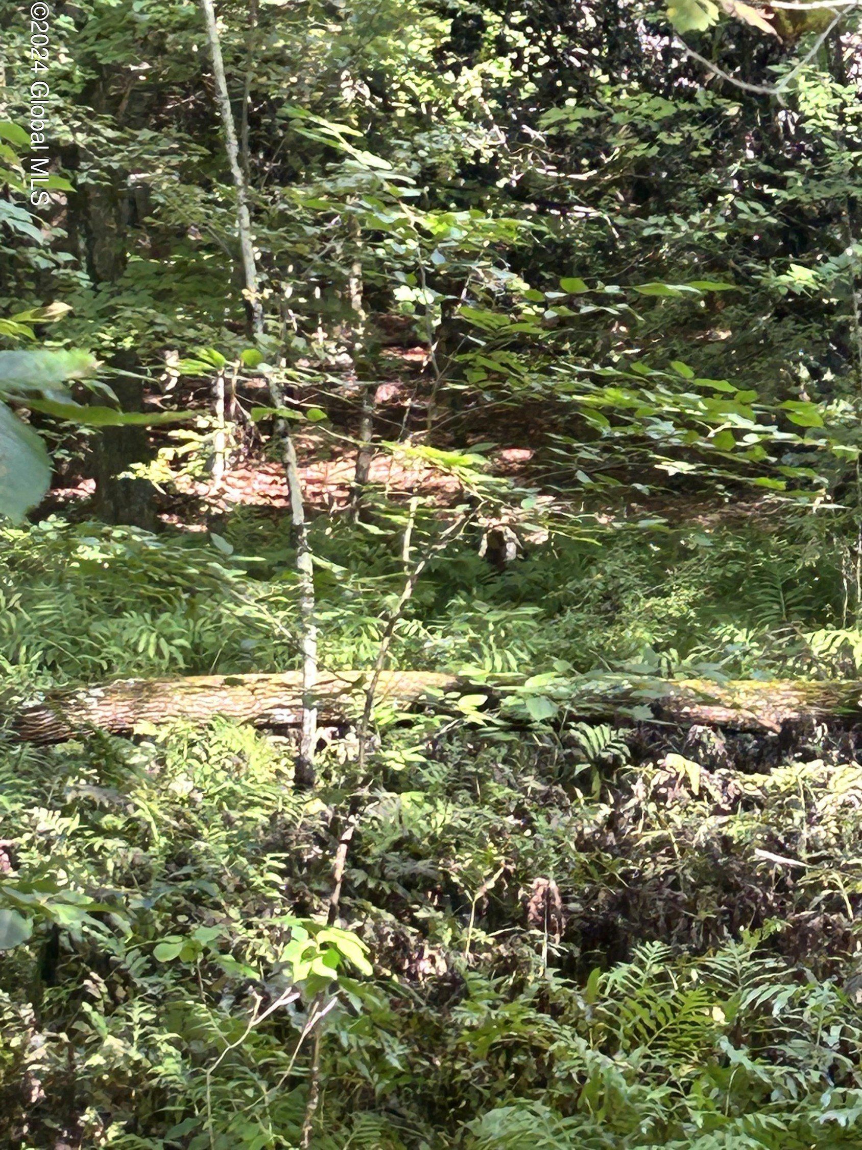 L13.123 Route 29, Galway, NY 12074 | MLS: 202425016 | LandWatch