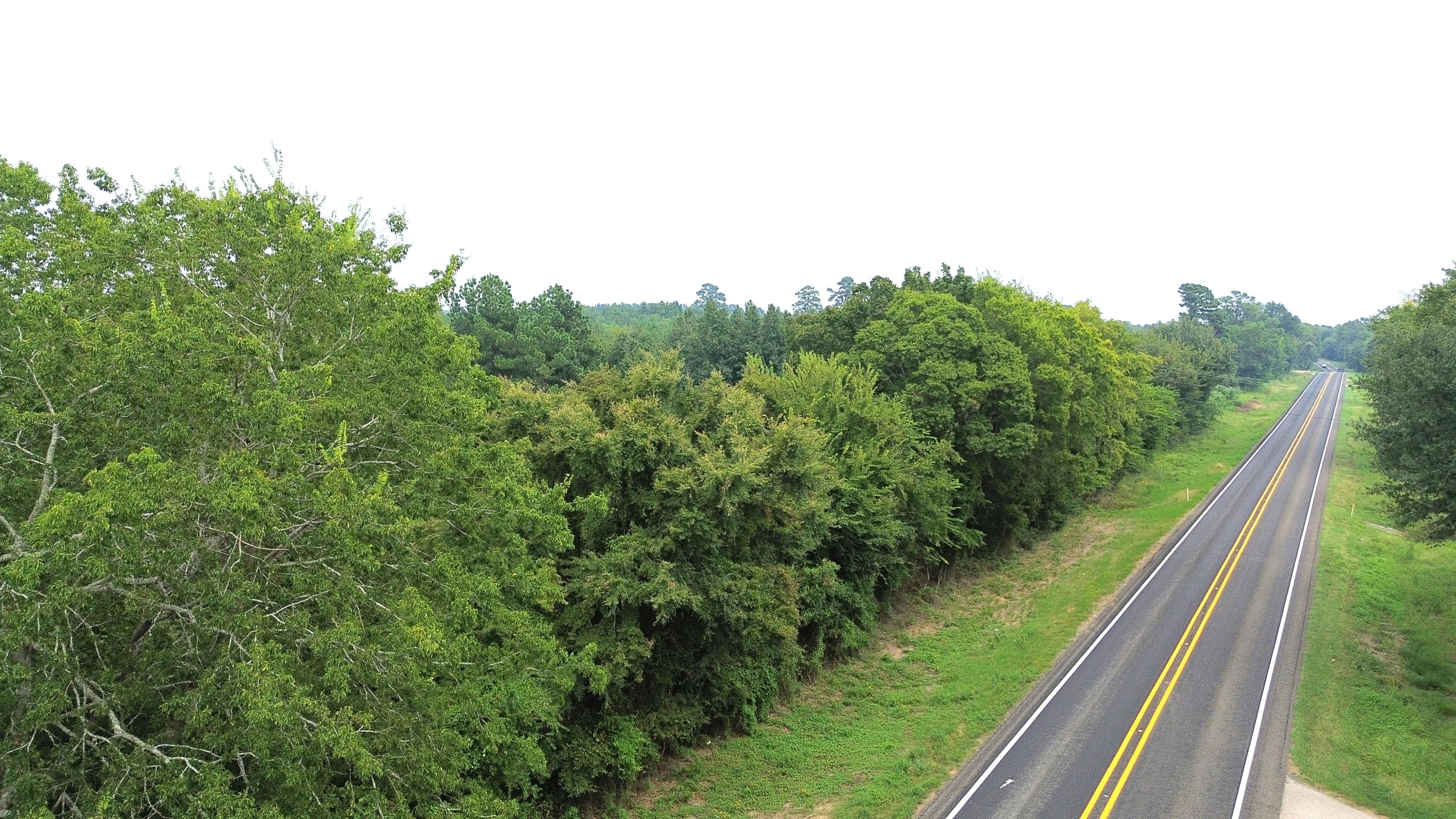 STATE HWY 7 WEST, Crockett, TX 75835 | MLS: 15813548 | LandWatch