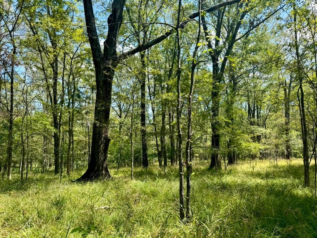 Williamson Rd, Clinton, MS 39056 | MLS: 4090451 | LandWatch