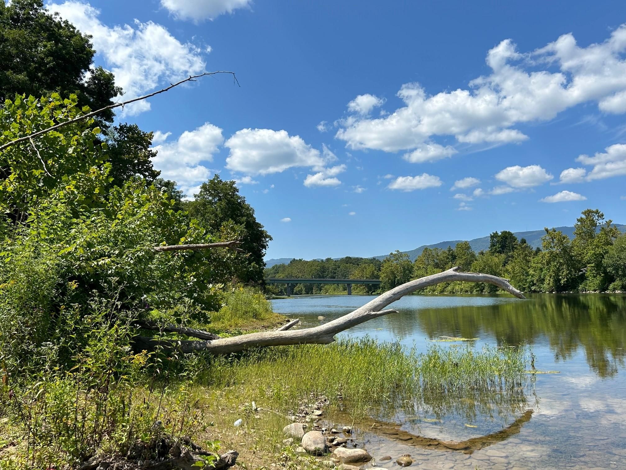 Howell Street, Alderson, WV 24910 | LandWatch