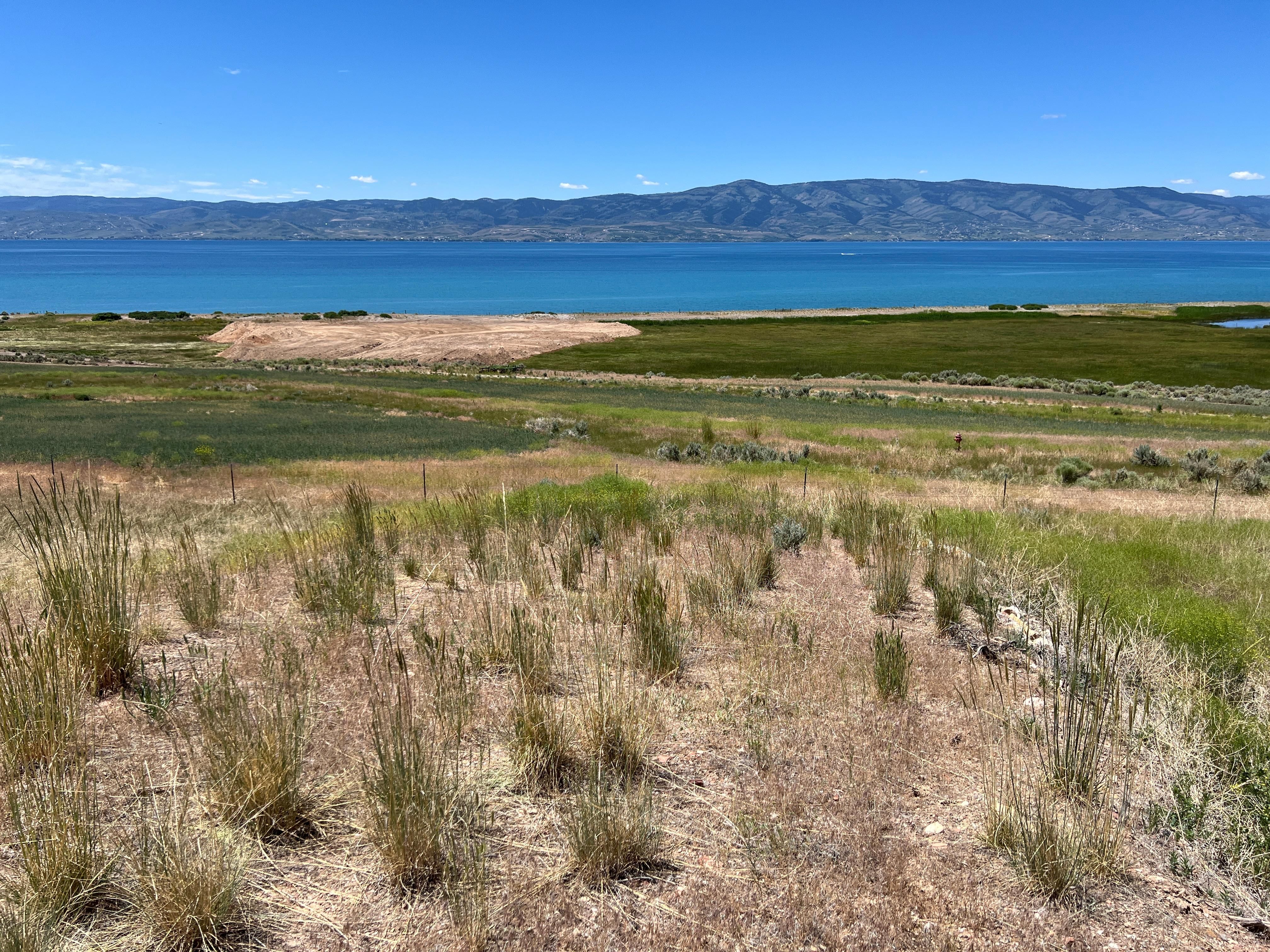 18.02 acres in Laketown, UT, 84038 | LandWatch