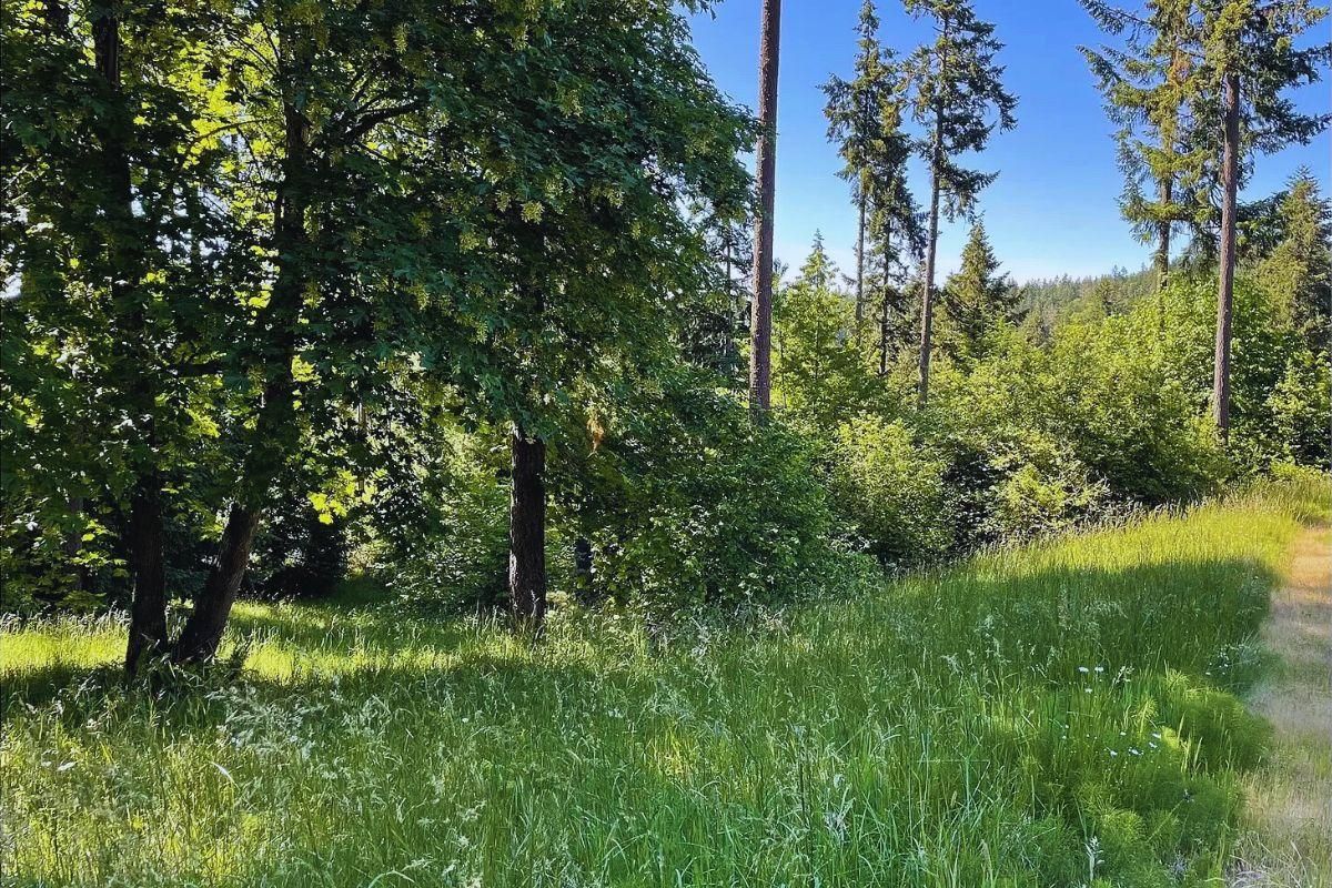 Sprague River, Oregon, USA, 97624, Oregon City, OR 97624 | MLS: Klamath ...